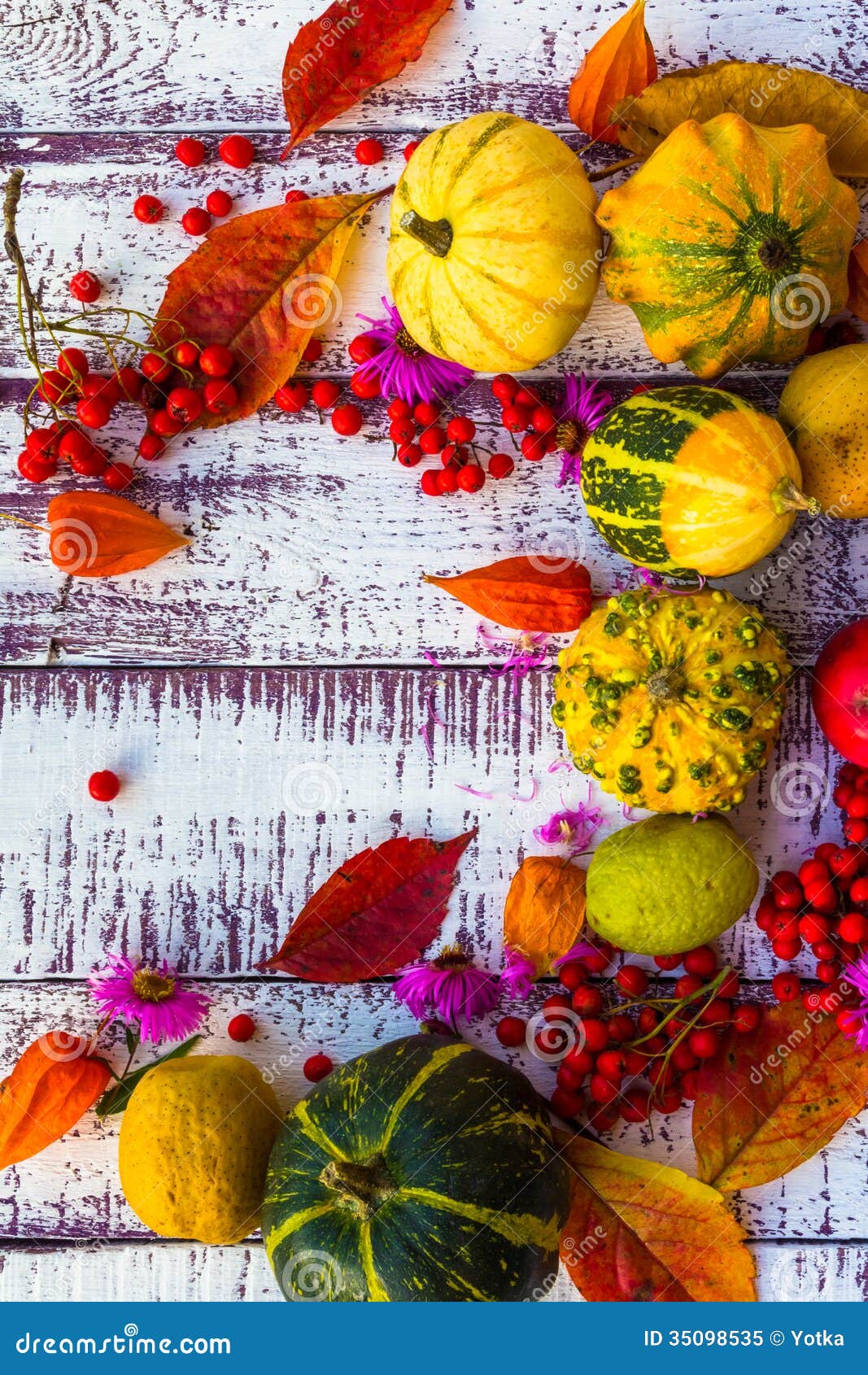 Autumn Fall Background Table Setting Background Vegetables Fruit Stock ...