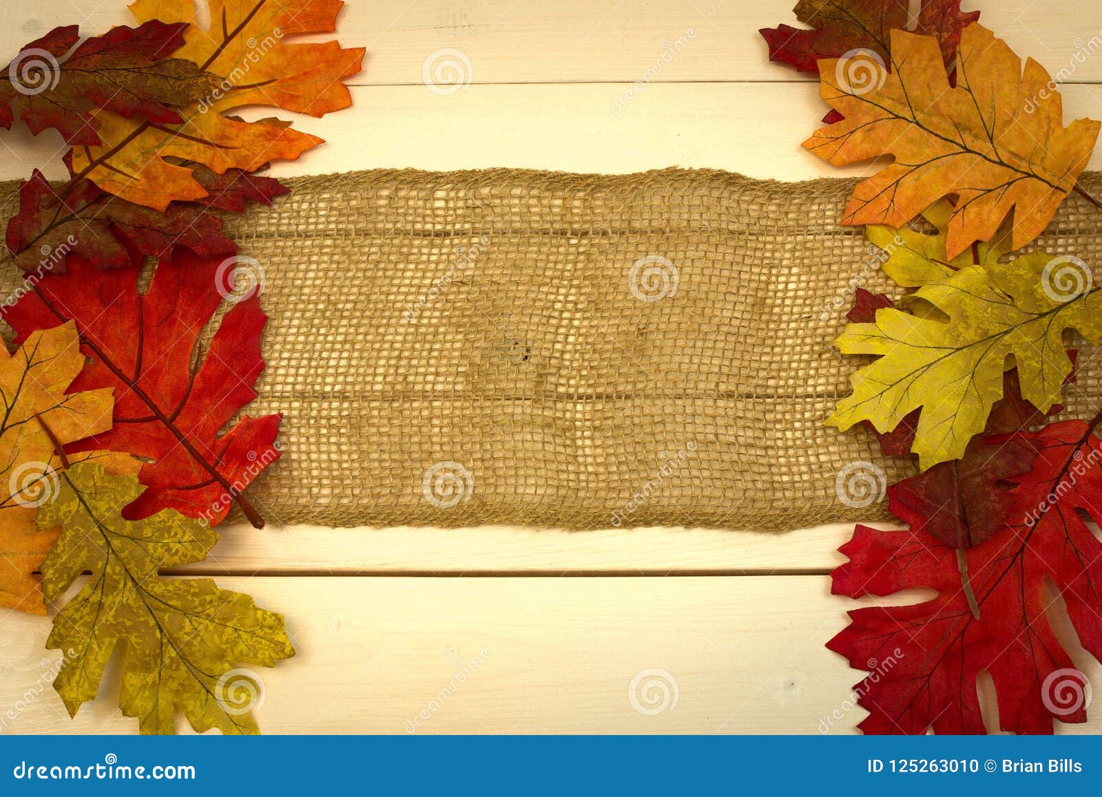 Autumn, Fall, Background on White Pine with Leaf Border Stock Photo ...