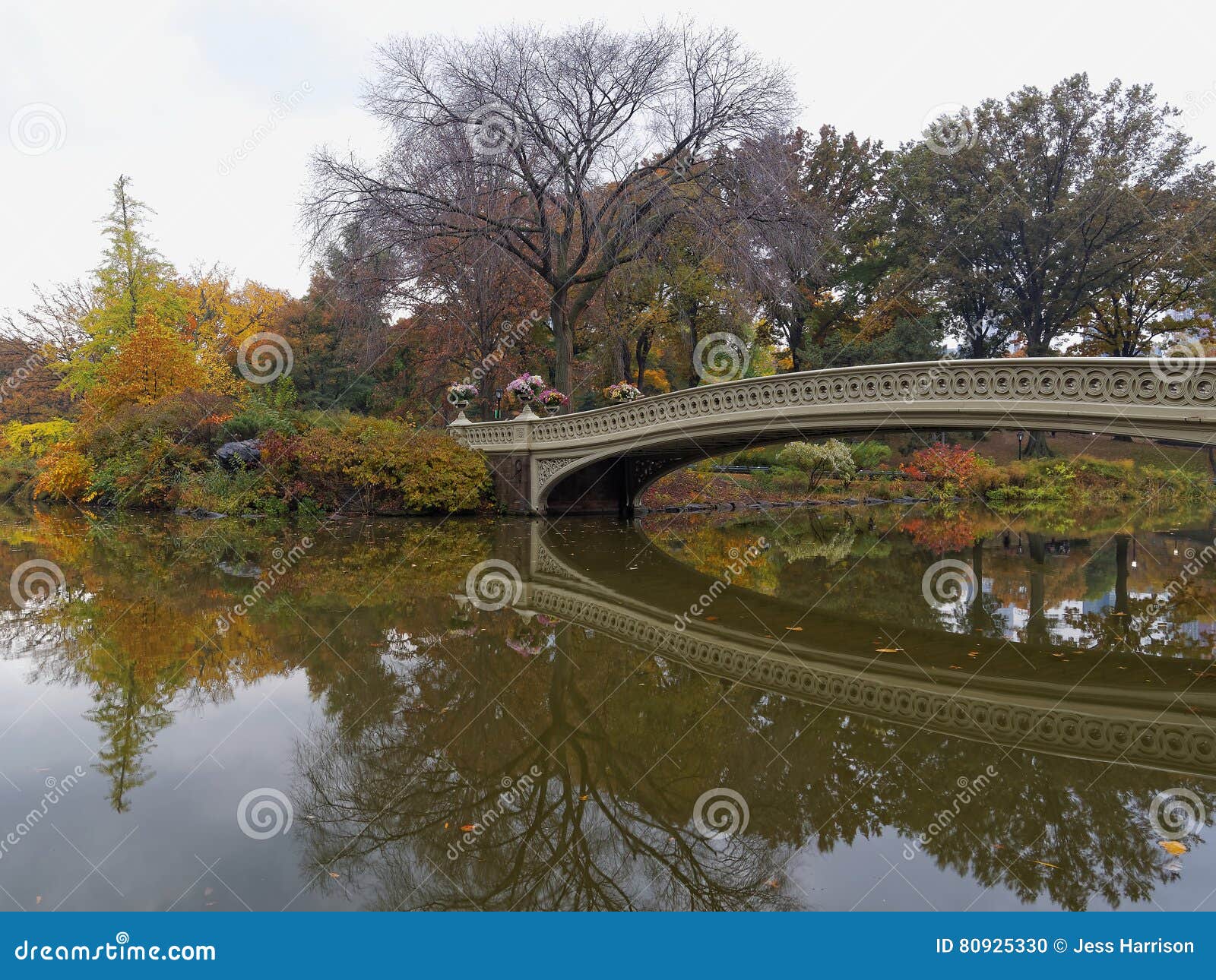 Autumn Fall Bow Bridge Reflection in Central Park Stock Photo - Image ...