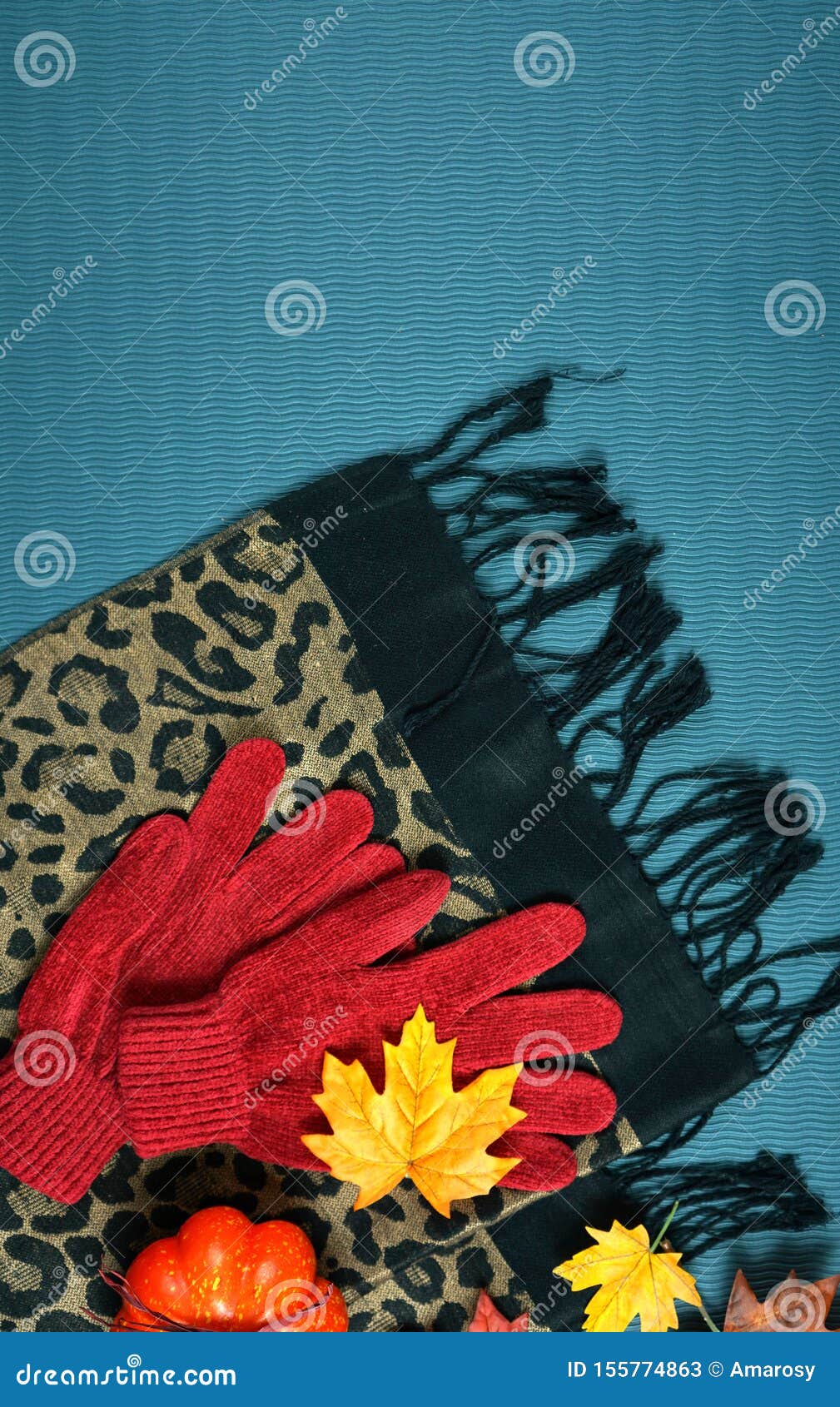 Autumn Fall Bright Colours Theme Flatlay Overhead. Stock Image - Image ...