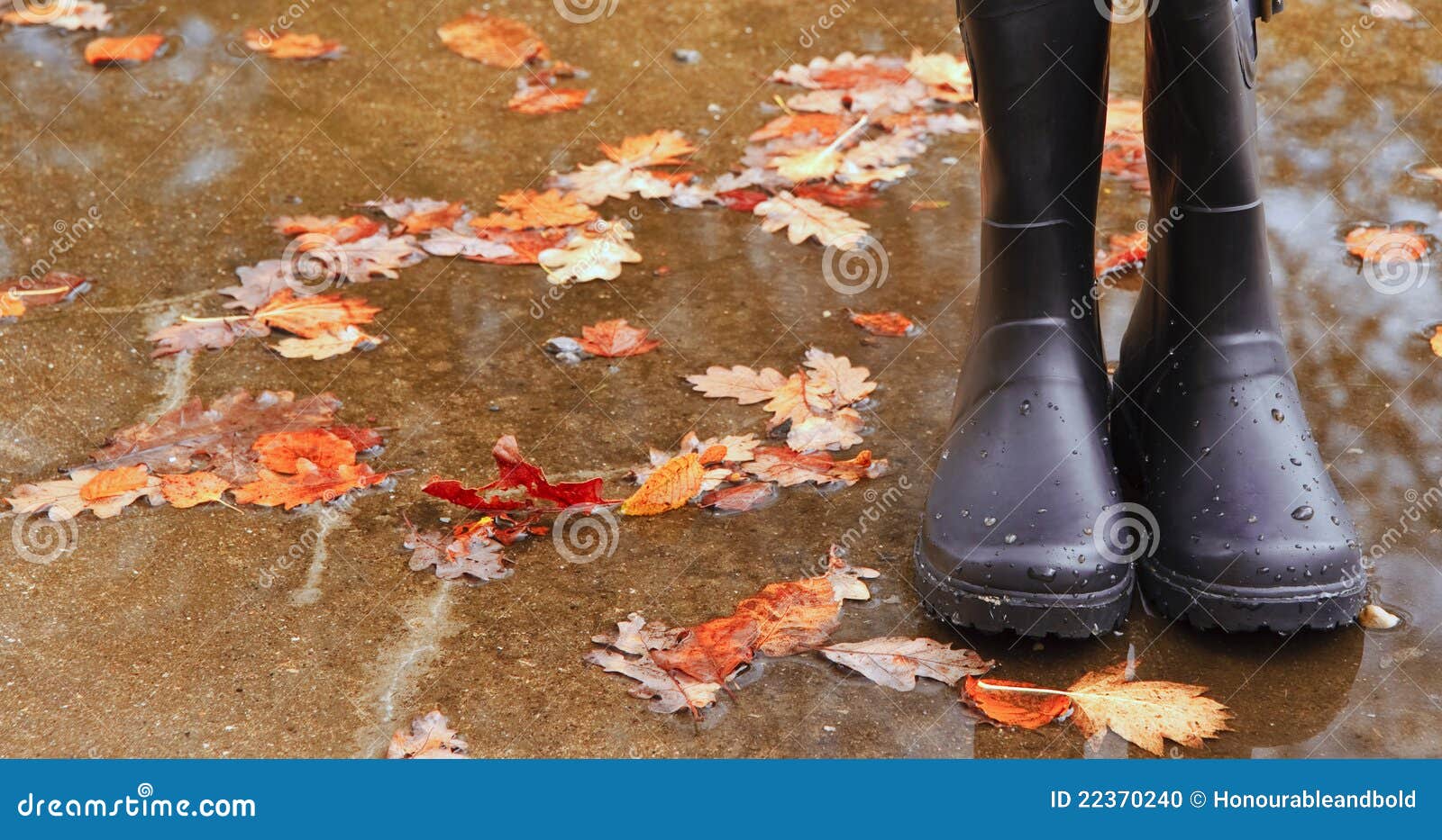Autumn Fall Concept Wellington Boots Leaves Stock Photo - Image of ...