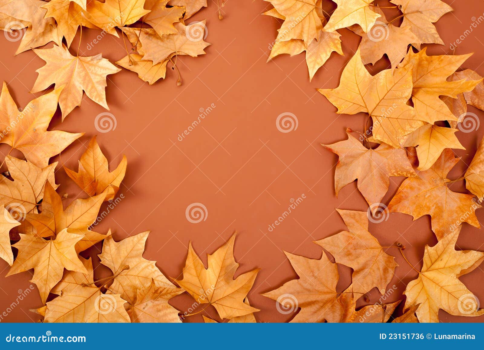 Autumn Fall Dired Leaves Border Fame On Brown Royalty-Free Stock Image ...