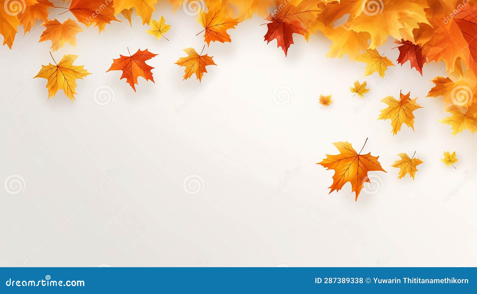 Autumn Fall with Falling Maple Leaves.Flying Maple Leaves Isolated on ...