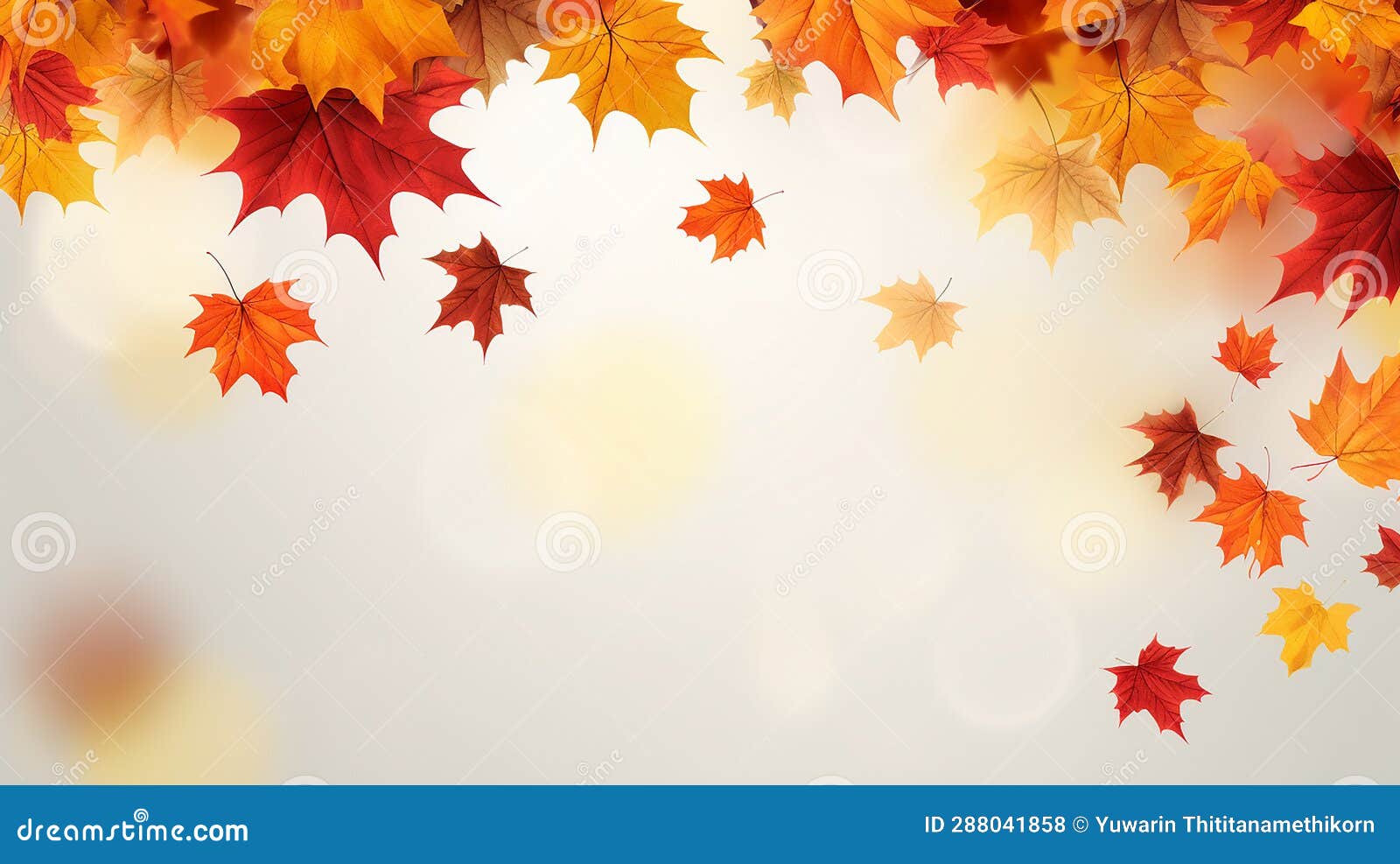 Autumn Fall with Falling Maple Leaves.Flying Maple Leaves Isolated on White Background ...