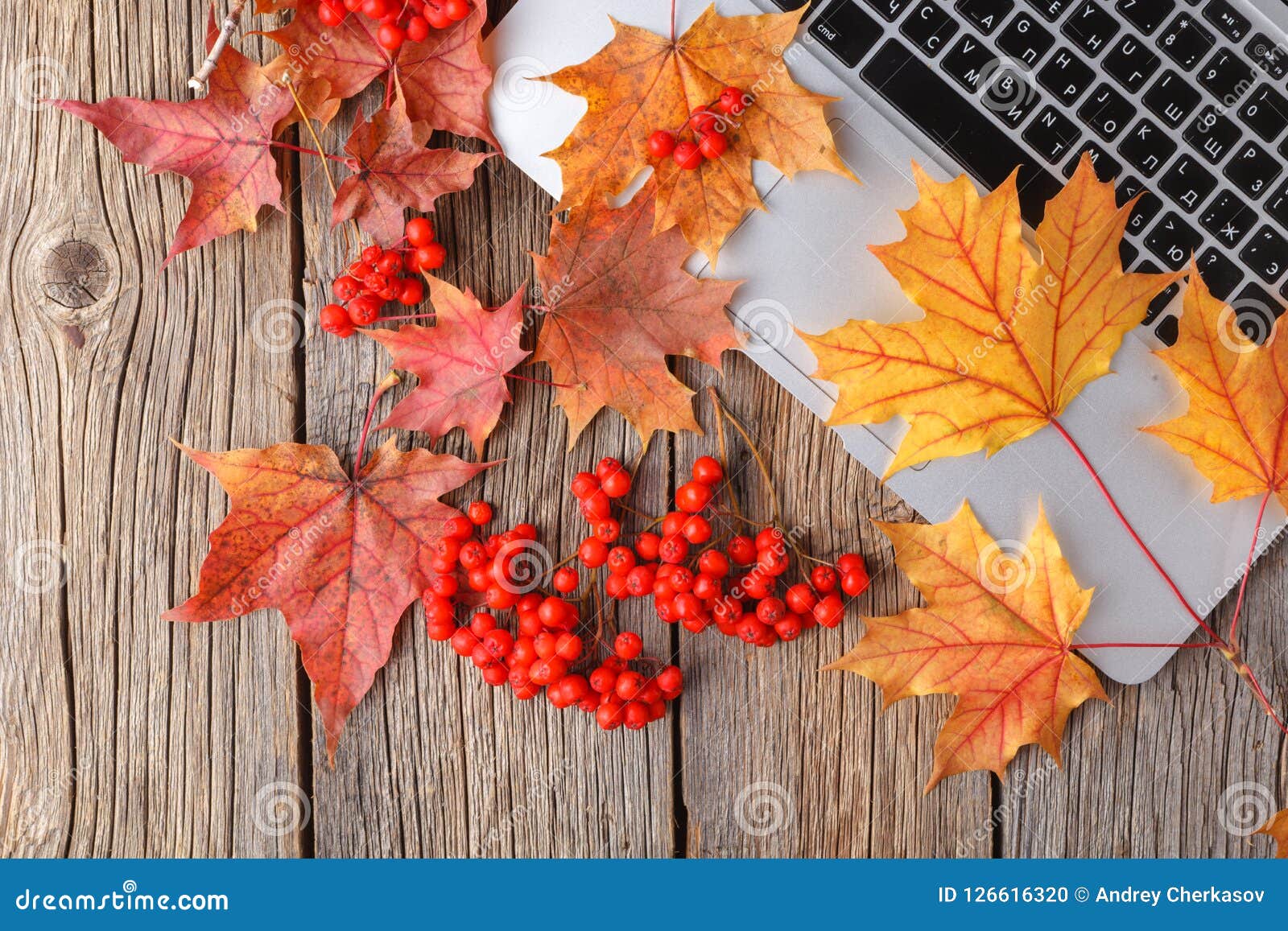 Autumn Fall Flat Lay, Top View Home Office Table Desktop Stock Photo ...