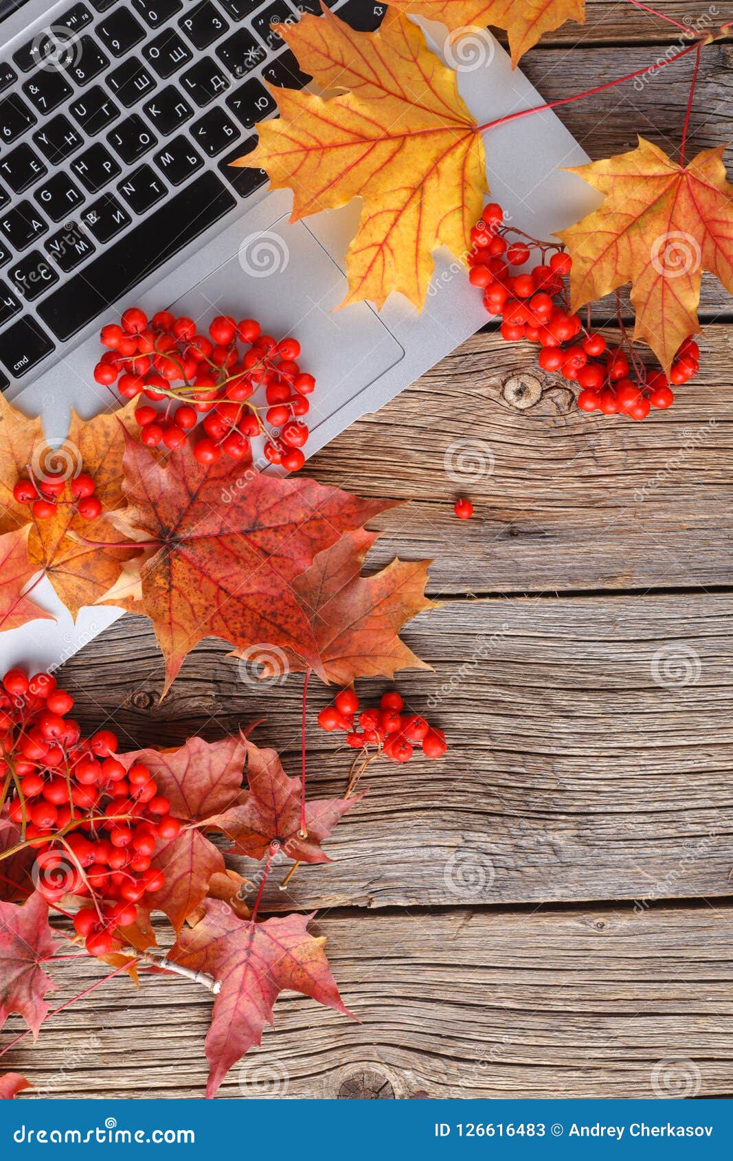 Autumn Fall Flat Lay, Top View Home Office Table Desktop Stock Image ...