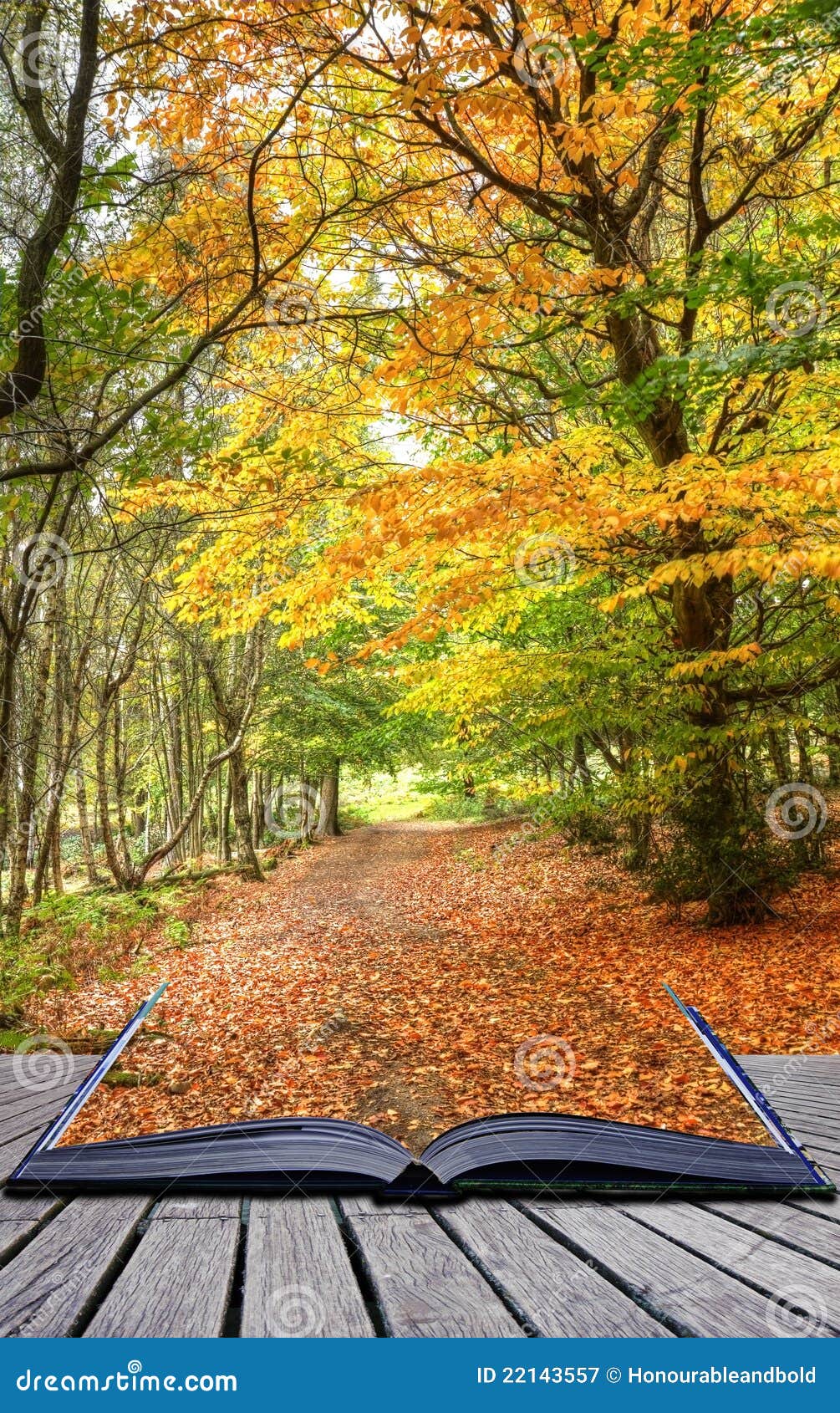 Autumn Fall Forest Landscape Magic Book Pages Stock Image - Image of ...