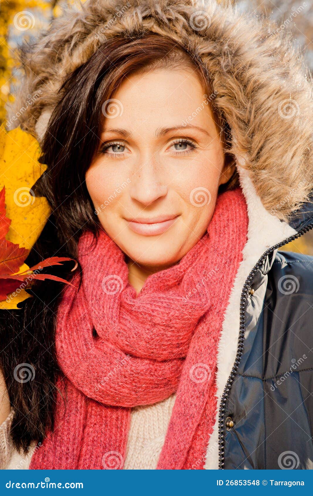 Autumn fall girl stock photo. Image of portrait, happy - 26853548