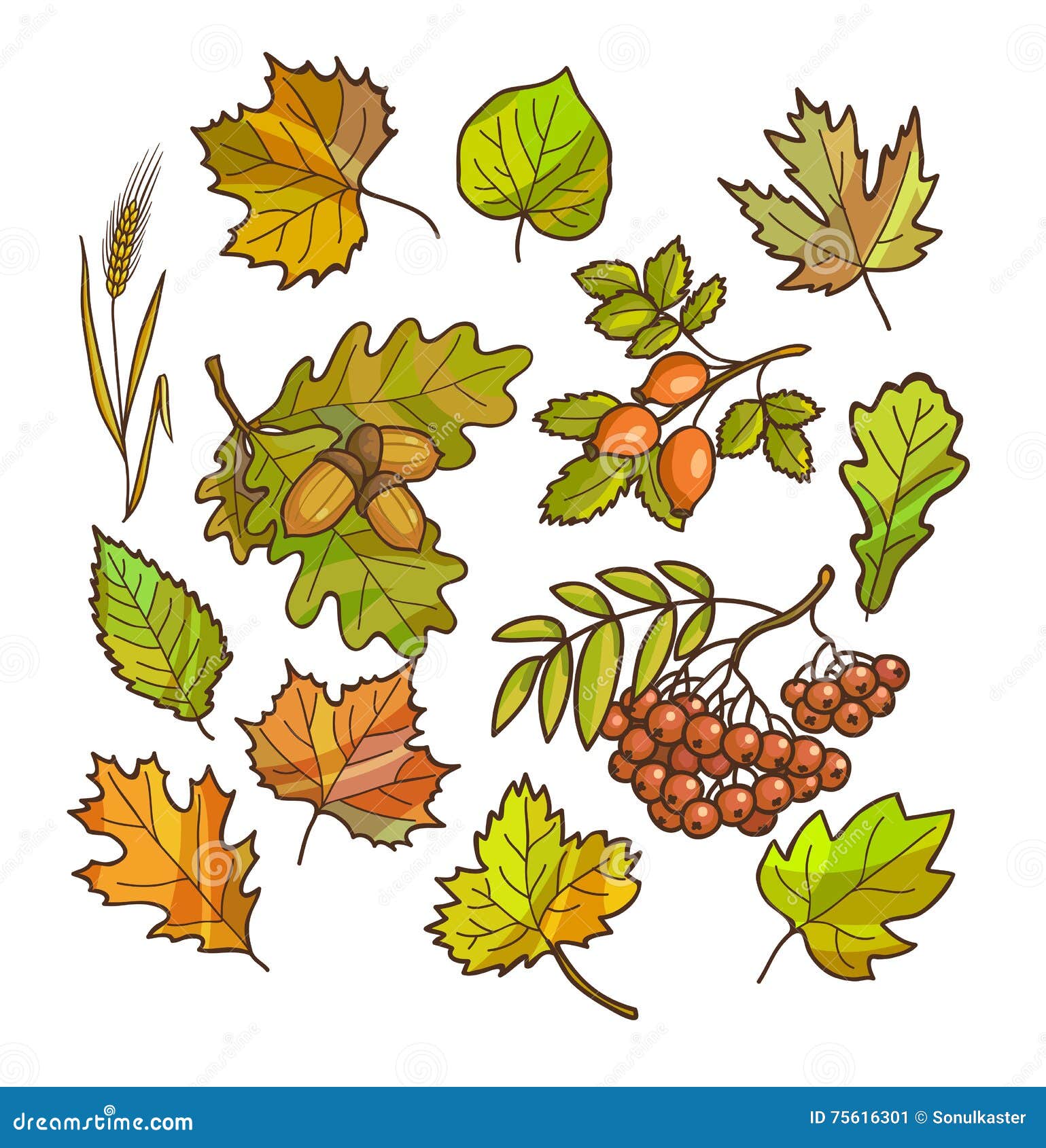 Autumn or Fall Icon and Objects Set for Design. Stock Vector ...