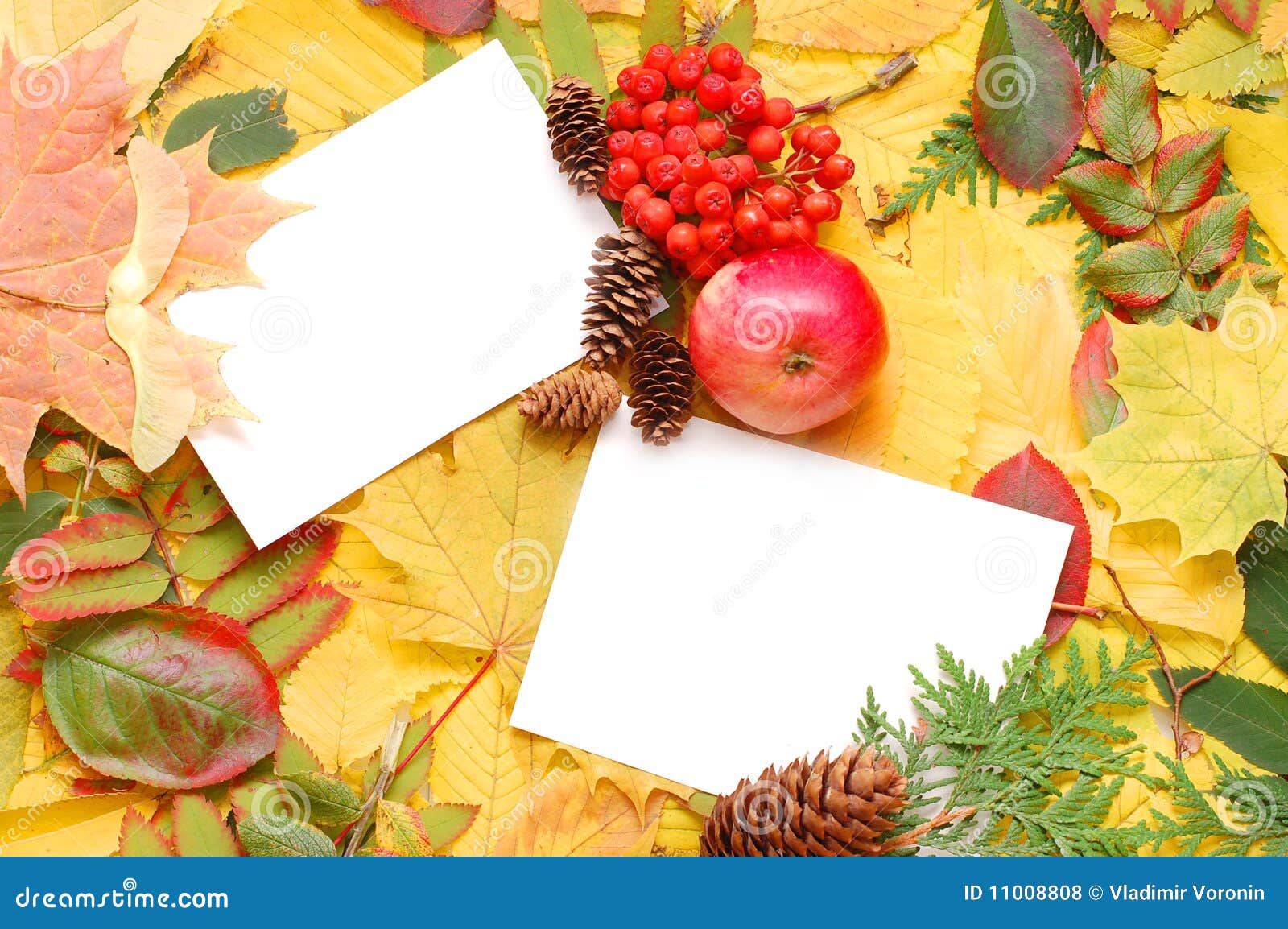 Autumn fall leaf frame stock photo. Image of message - 11008808