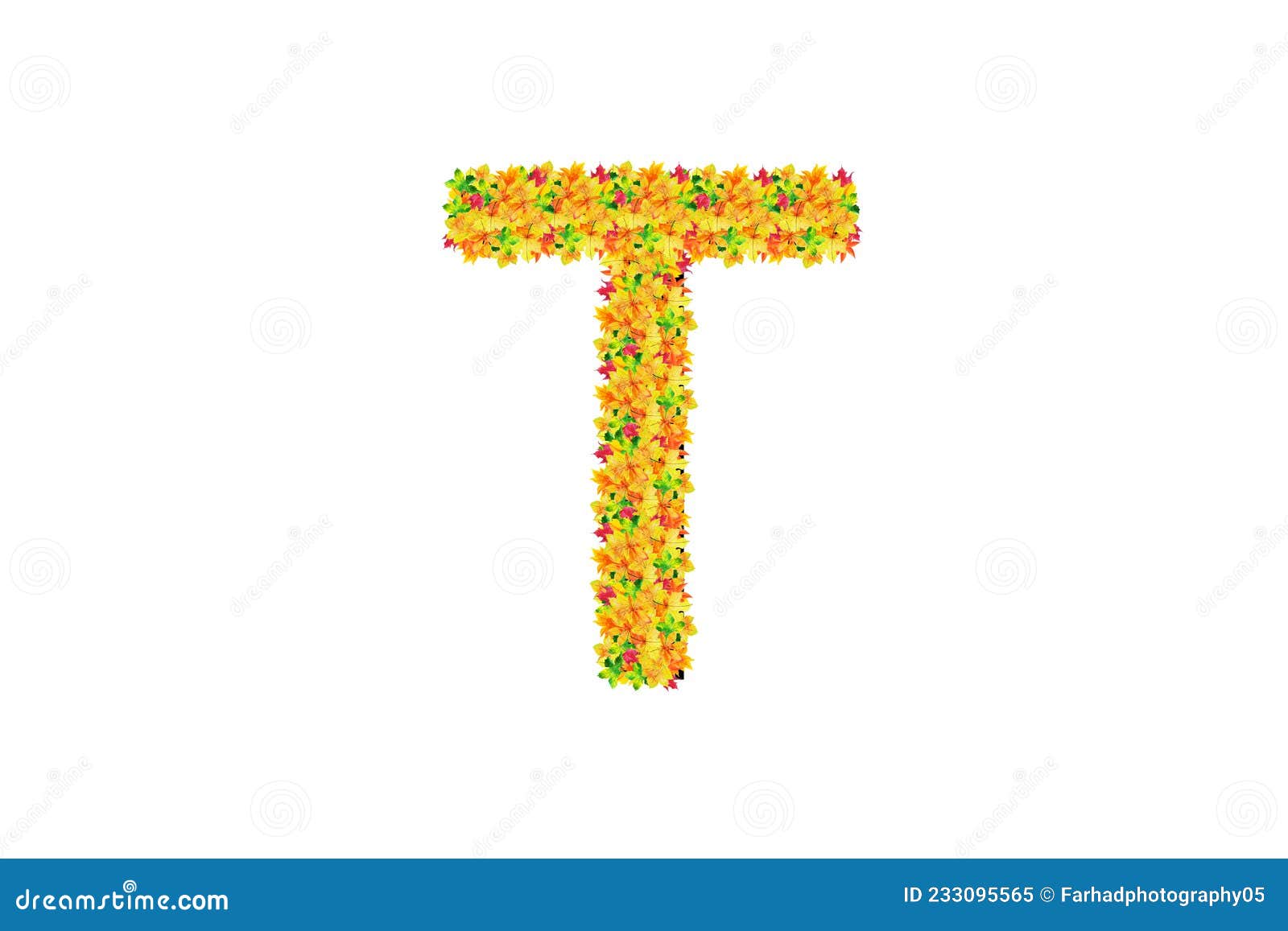 Autumn Fall Leaves Alphabet T, Alphabet of Autumn Leaves, Letter Made ...