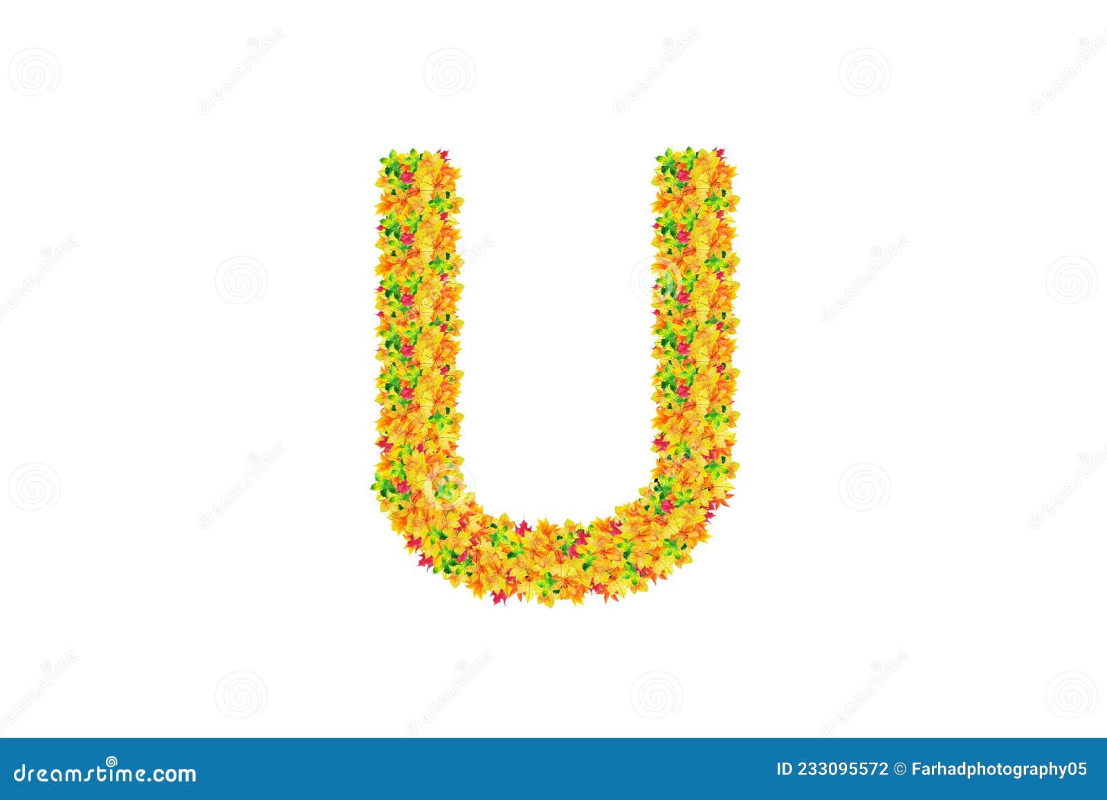 Autumn Fall Leaves Alphabet U, Alphabet of Autumn Leaves, Letter Made ...