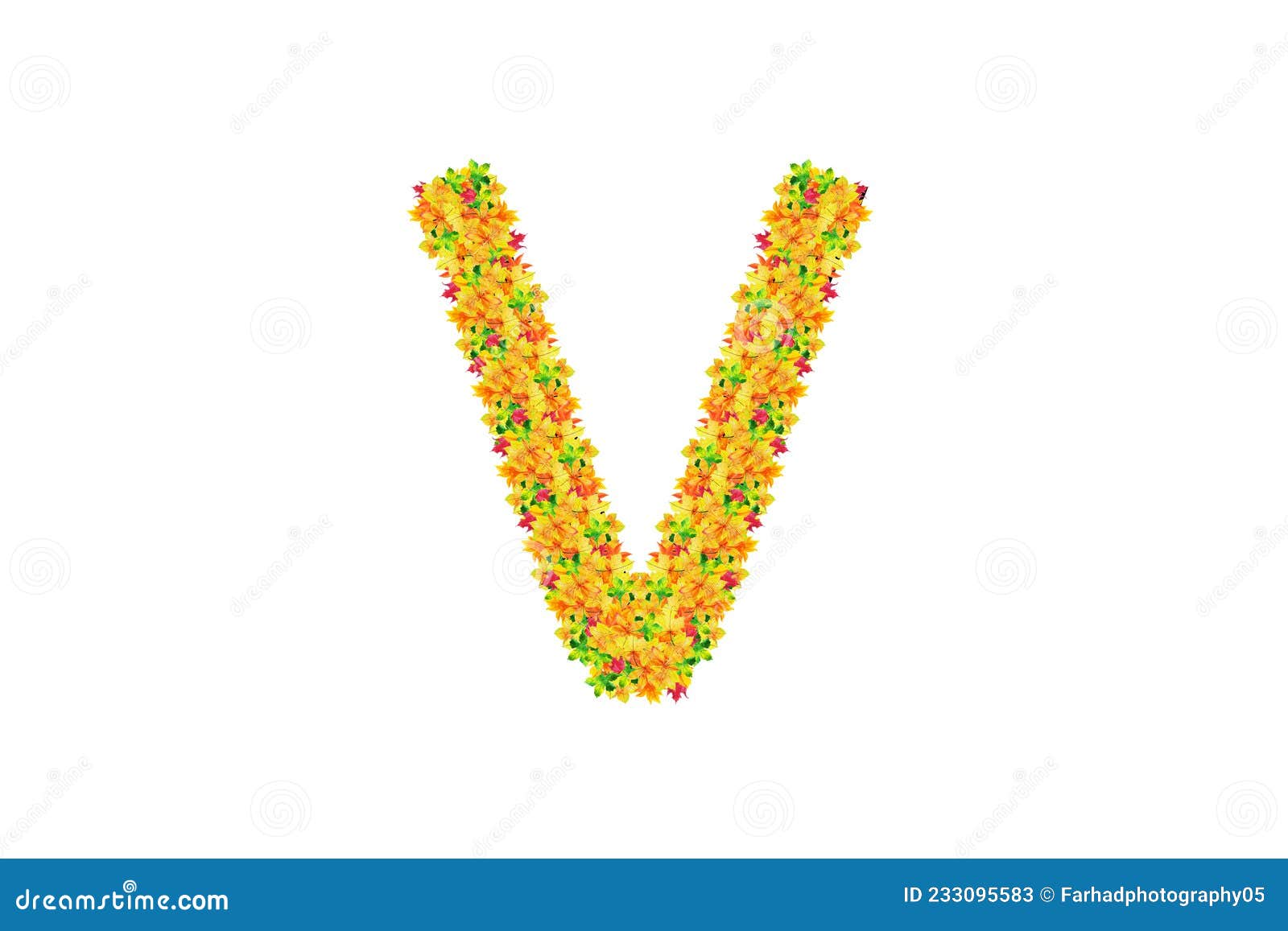 Autumn Fall Leaves Alphabet V, Alphabet of Autumn Leaves, Letter Made ...