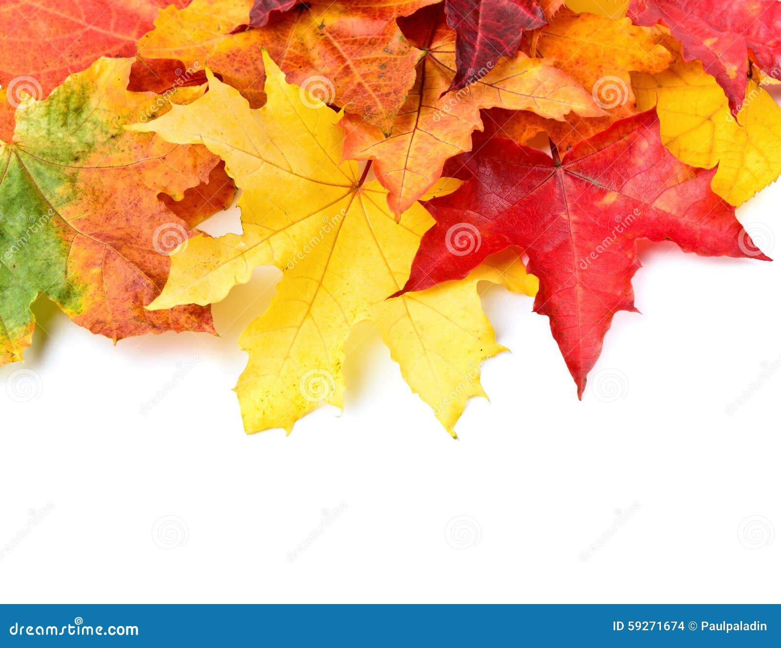 Autumn Fall Leaves Background Stock Photo - Image of collection ...