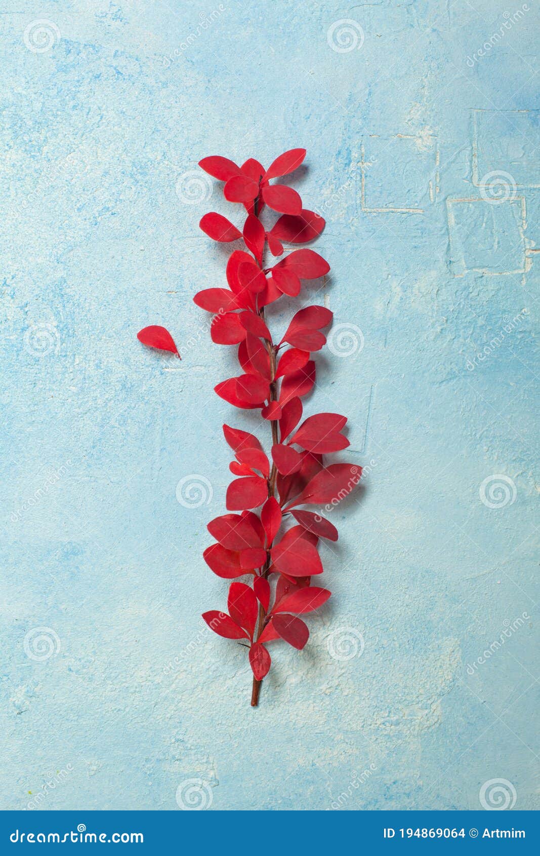 Autumn Fall Leaves on Blue Plaster Stucco Texture Stock Photo - Image ...