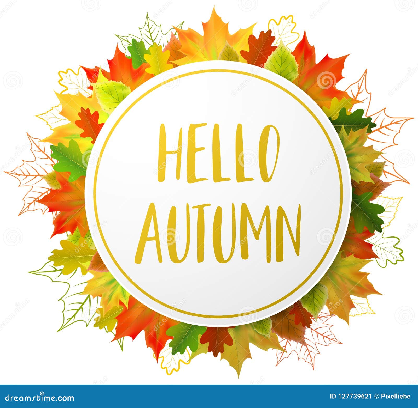 Autumn Fall Leaves Circle Isolated Vector Stock Vector - Illustration ...