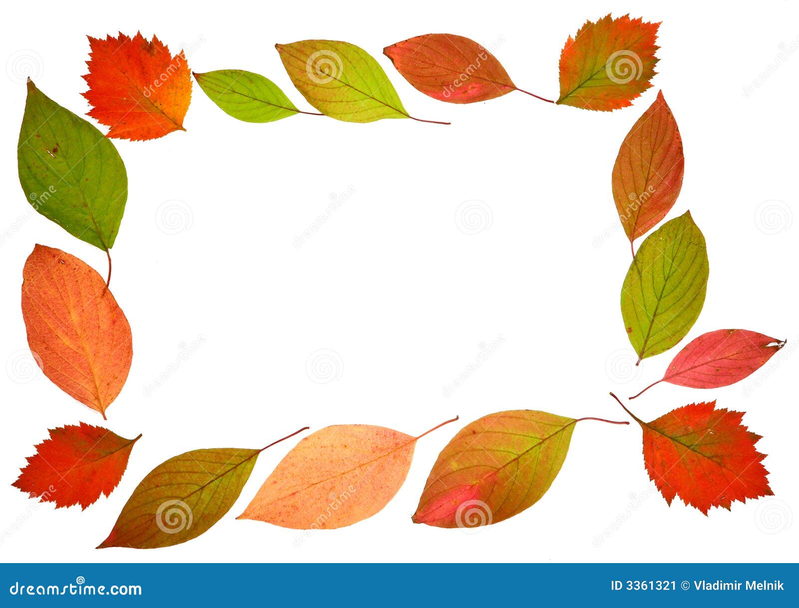 Autumn fall leaves frame stock image. Image of brown, maple - 3361321