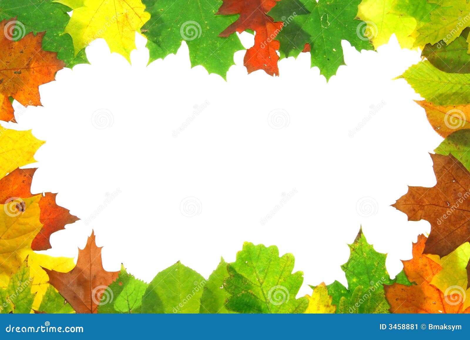Autumn fall leaves - frame stock image. Image of sunny - 3458881