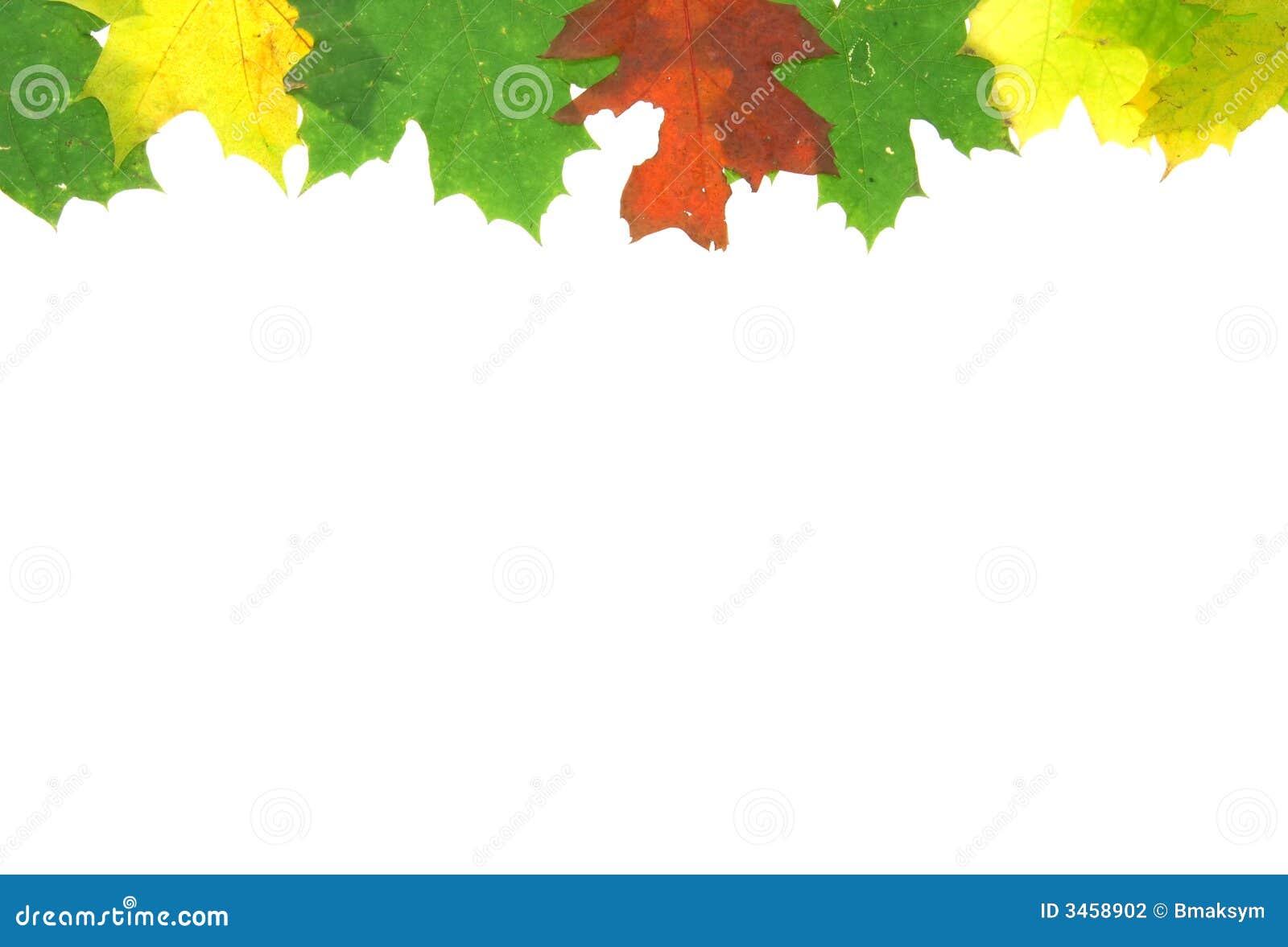 Autumn fall leaves - frame stock photo. Image of nature - 3458902