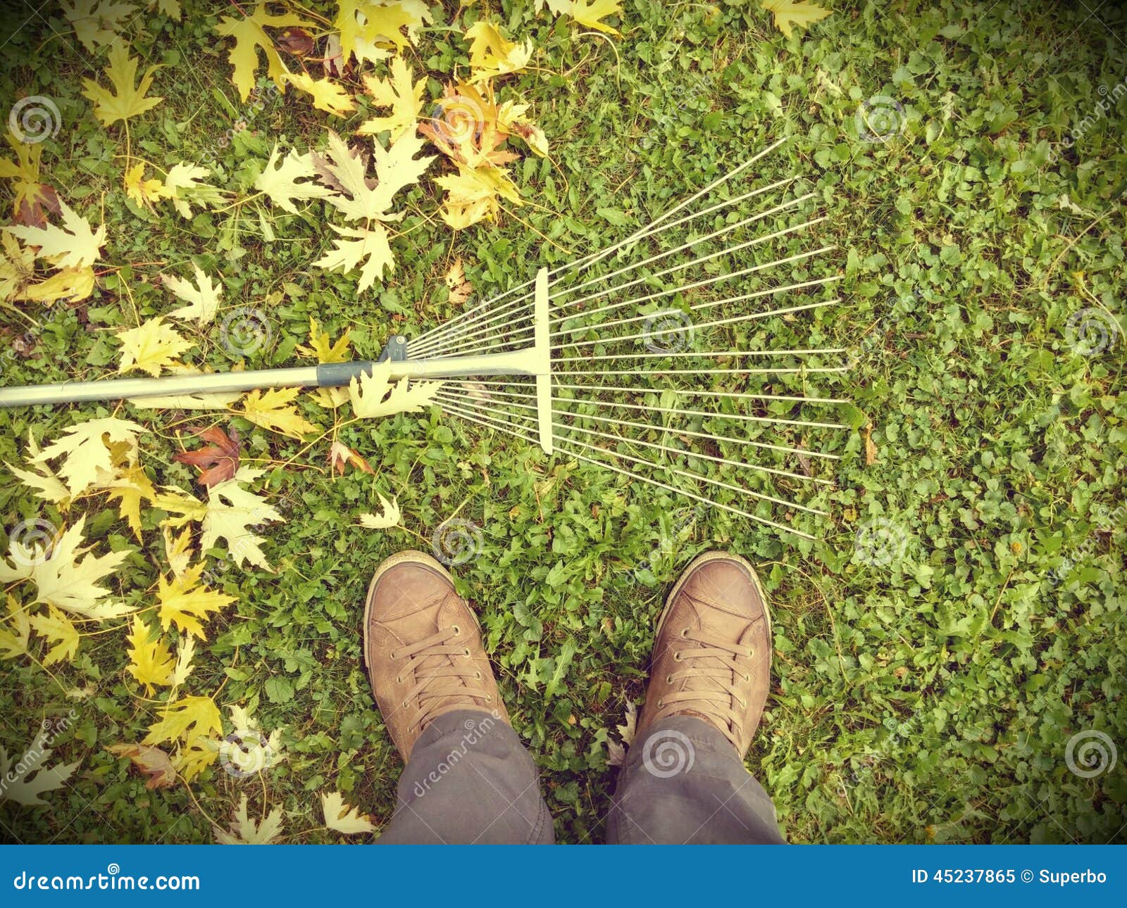 Autumn Fall Leaves Rake Background Stock Image - Image of fall ...