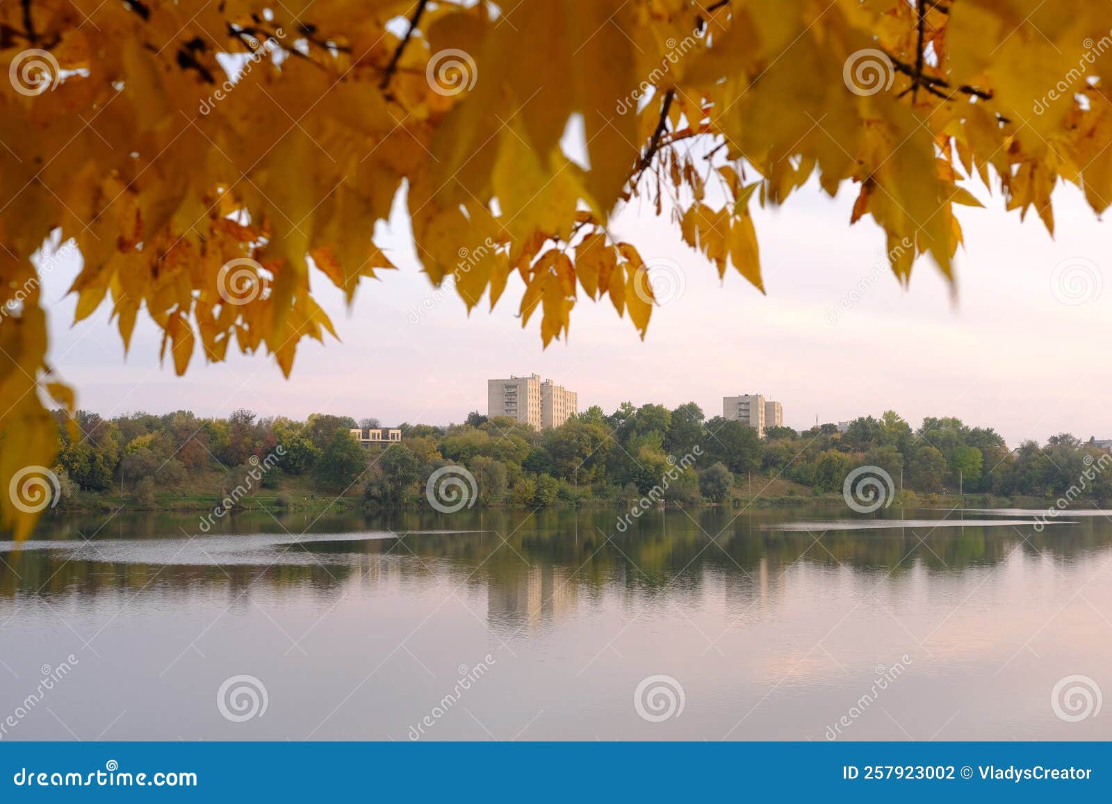 Autumn Fall in Park with Yellow Leaves Trees and Lake Stock Photo ...