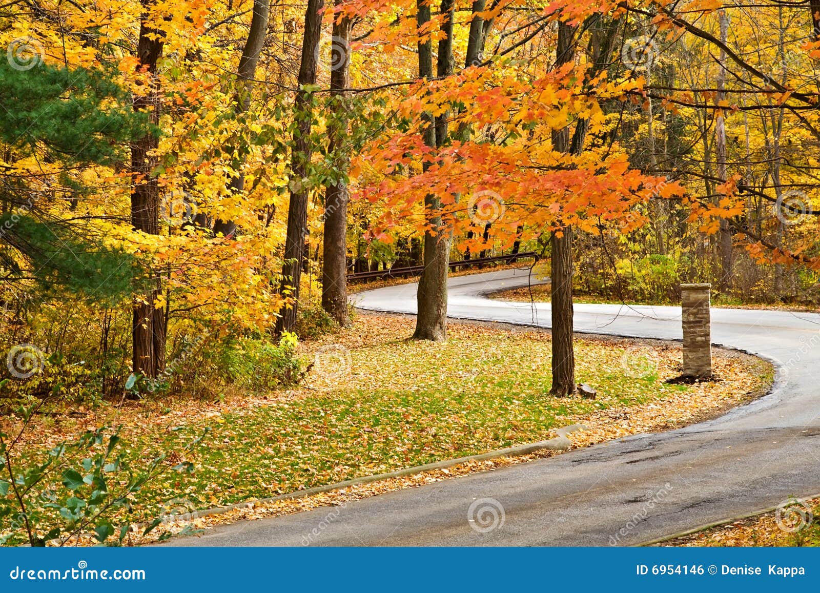 Autumn Fall Scenery stock photo. Image of woods, landscape - 6954146