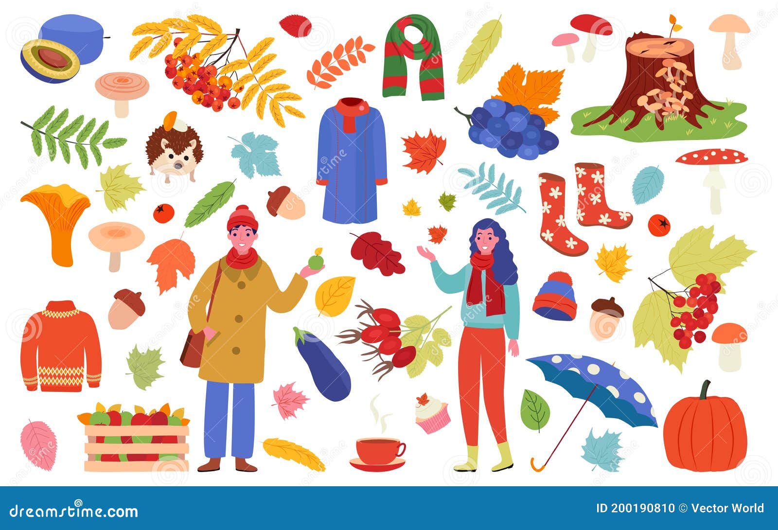 Autumn, Fall Season Objects Collection Set for Decoration, Vector ...