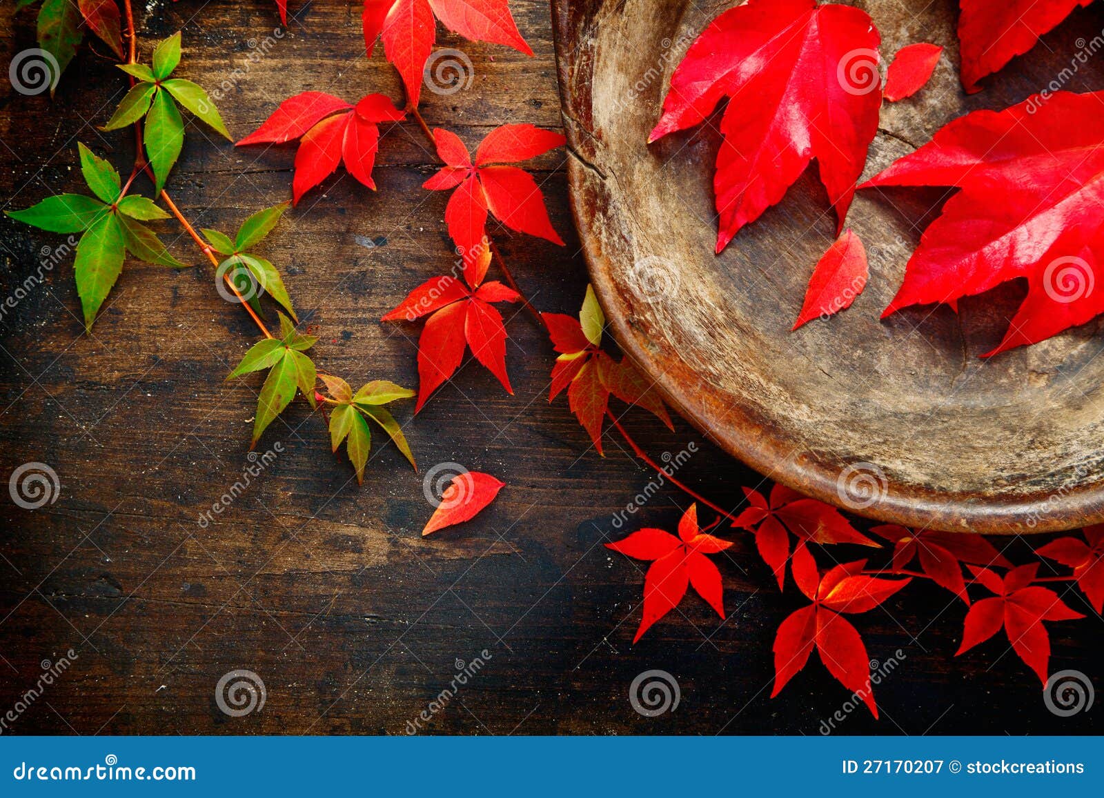 Autumn or fall still life stock image. Image of background - 27170207