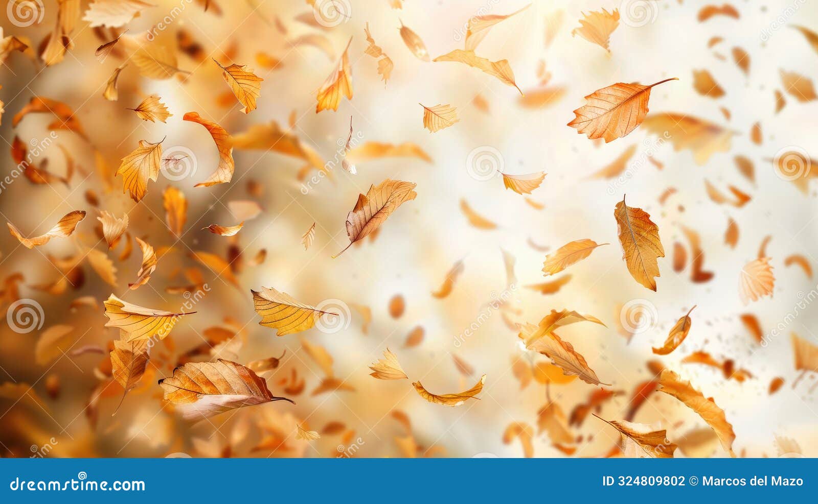 Autumn Fall Tree Leaves Falling Windy Background Backdrop Wallpaper ...