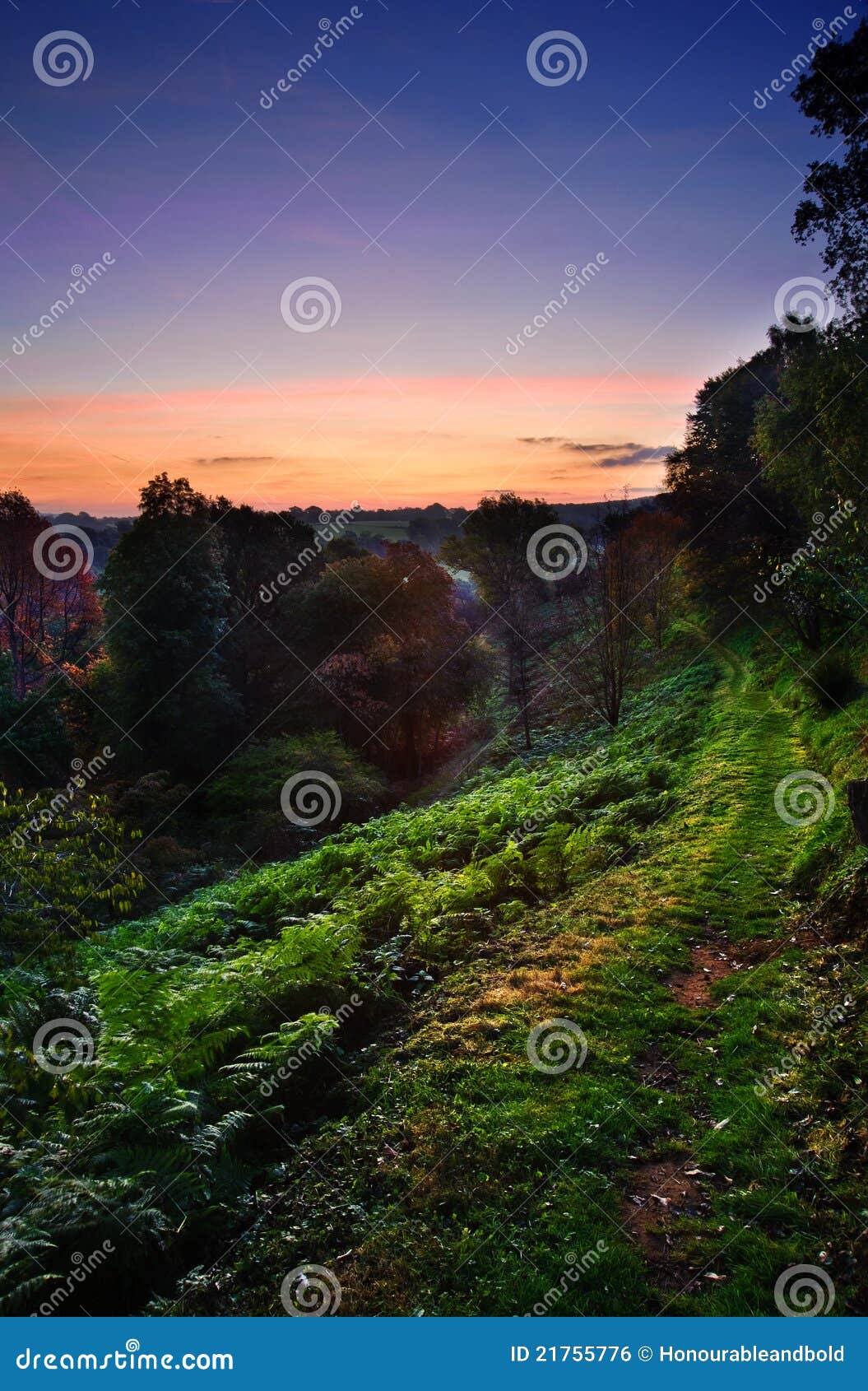 Autumn Fall Valley at Sunrise Stock Photo - Image of color, vibrant ...