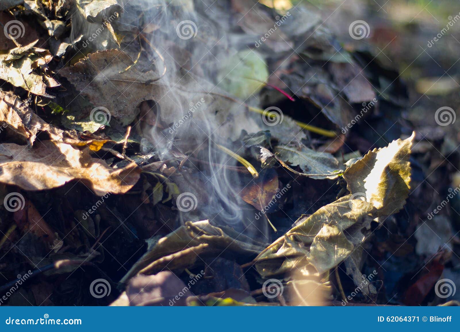 Autumn Fallen Leaves in Fire Stock Image - Image of smoke, nature: 62064371