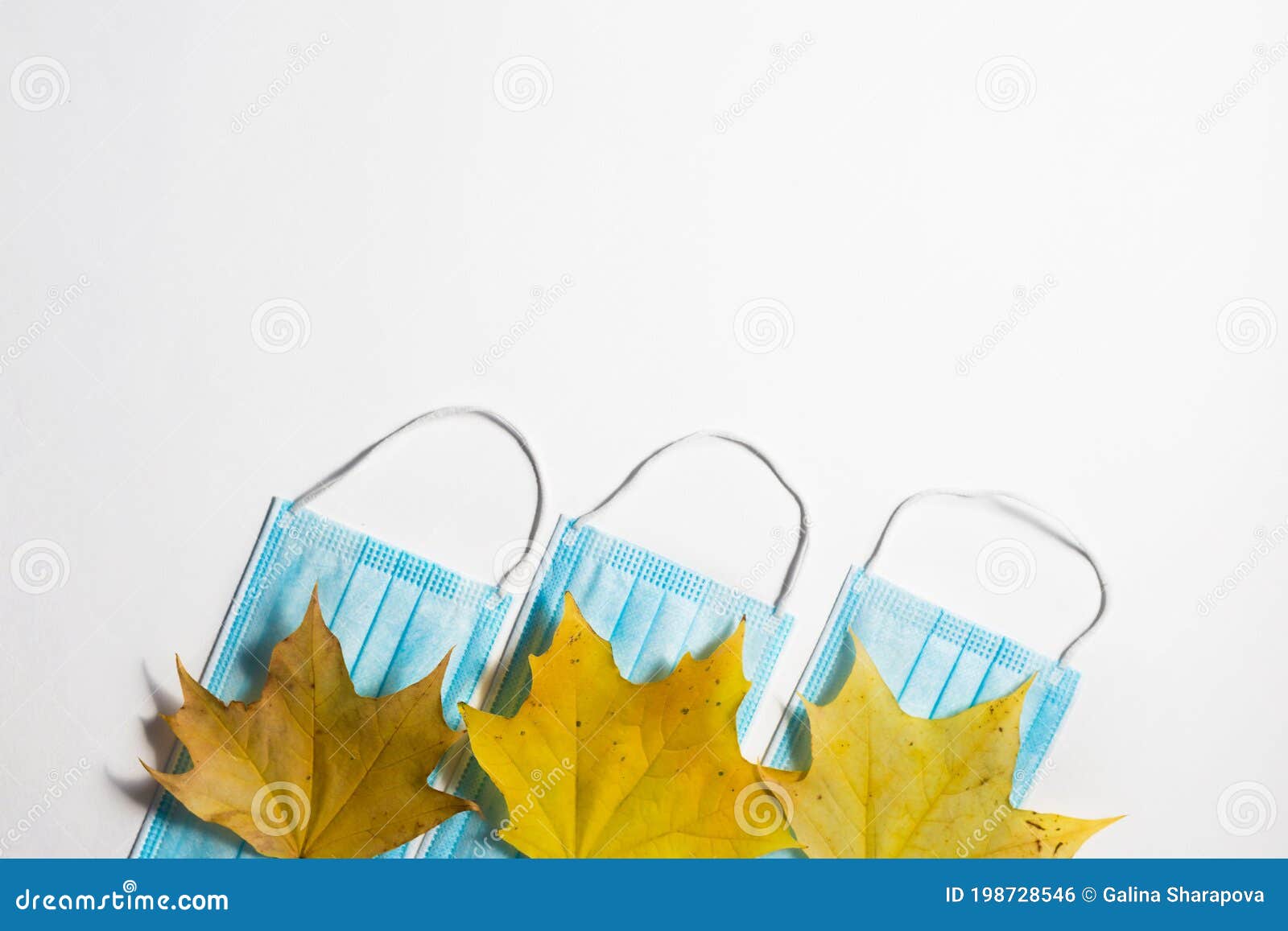 Autumn Fallen Leaves and Medical Masks on a White Background Stock ...