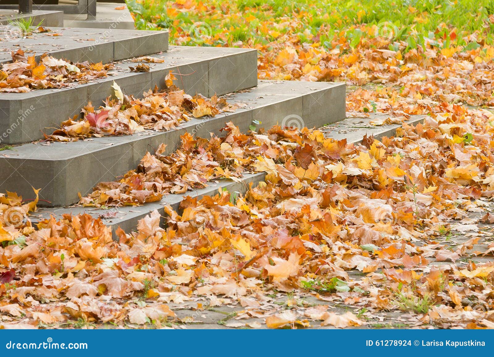 Autumn. Fallen Leaves on the Stairs. Stock Photo - Image of detail ...