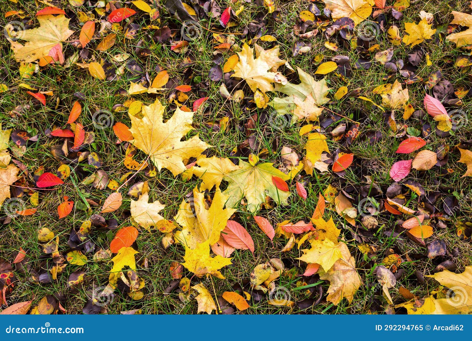Autumn.fallen Leaves.texture Stock Image - Image of cold, graphics ...