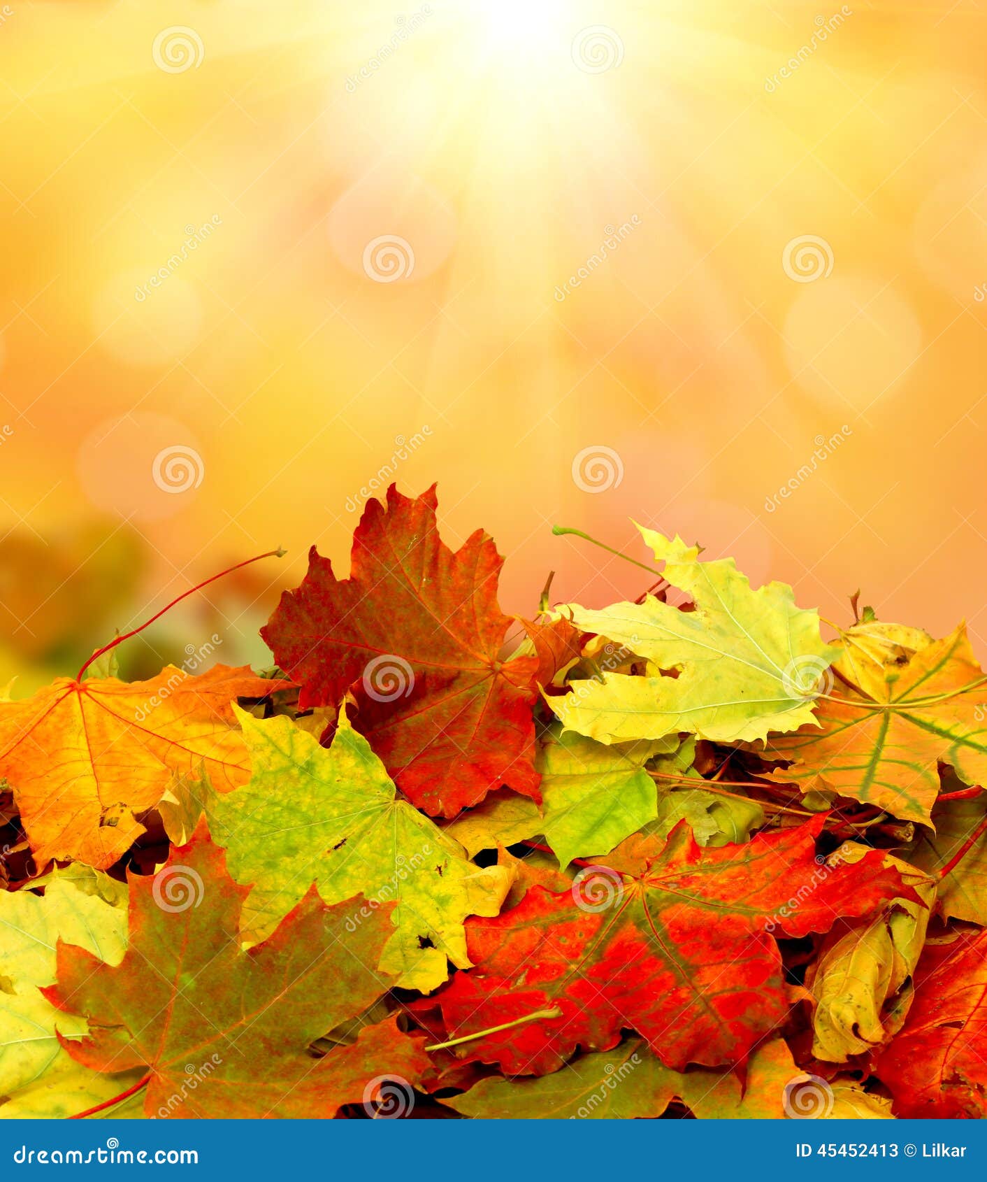 Autumn Falling Leaves Background Stock Image - Image of natural, detail ...