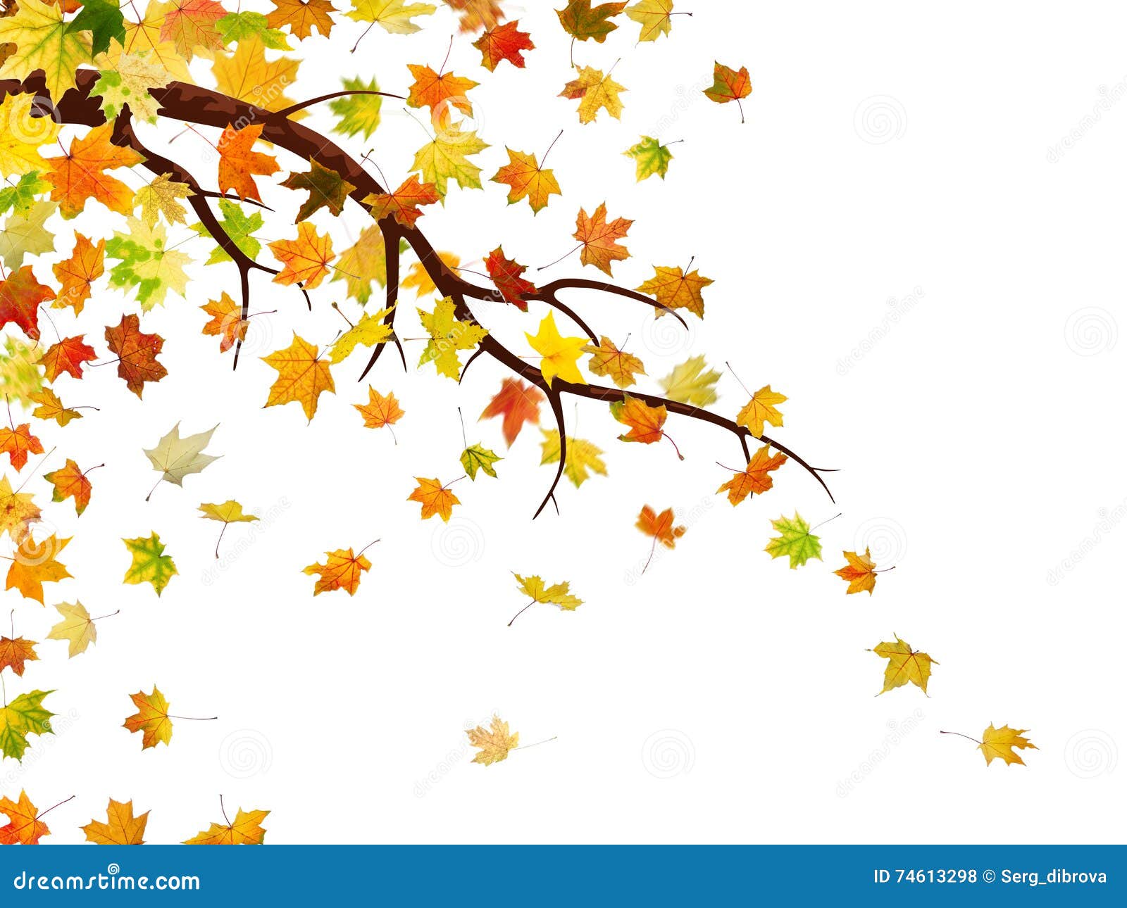 Autumn falling leaves stock illustration. Illustration of nature - 74613298