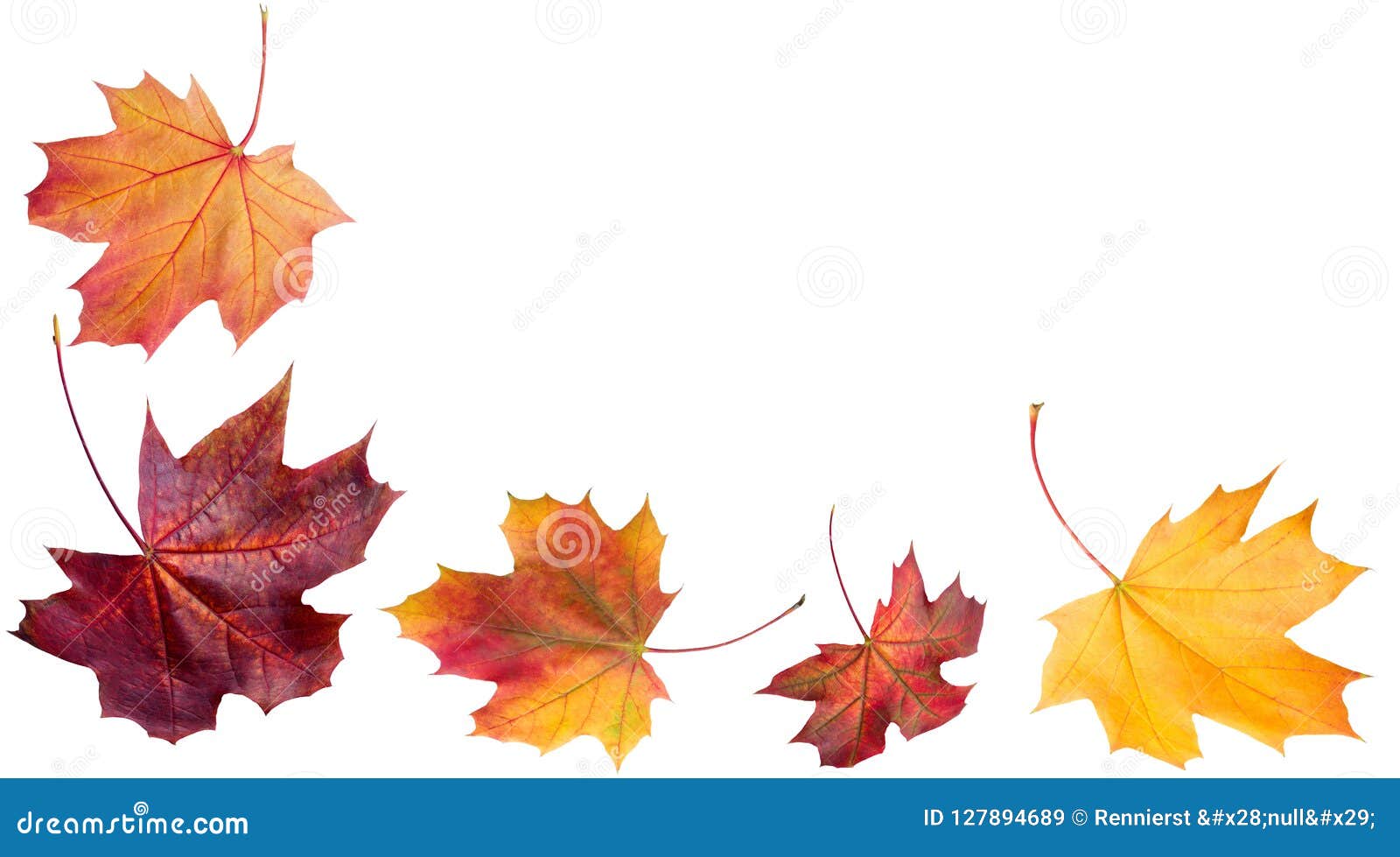 Autumn Falling Leaves. Autumn Design. Templates for Placards, Ba Stock ...