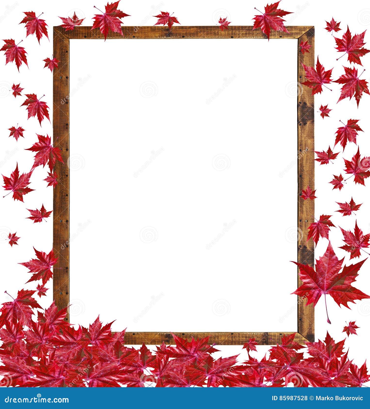 Autumn Falling Leaves on Empty Wooden Frame on White Ba Stock Photo ...