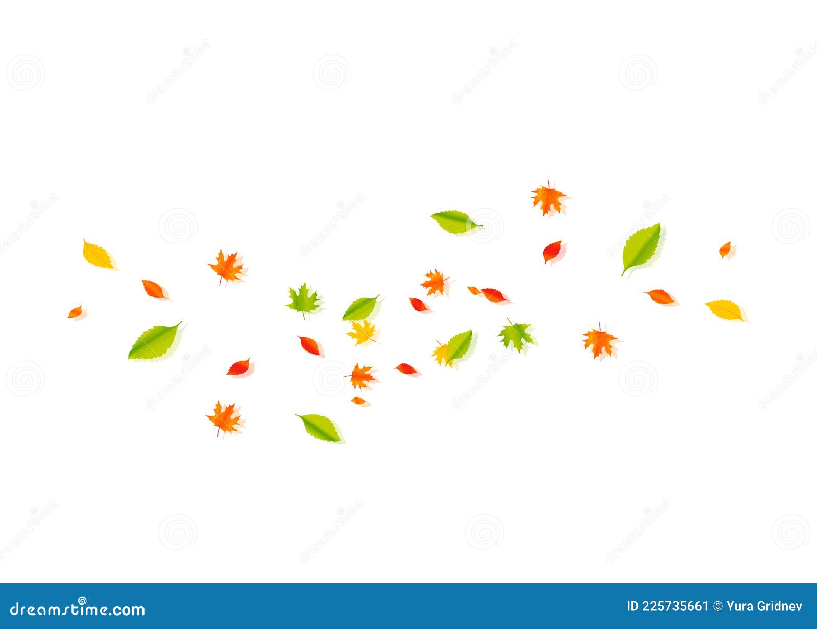 Autumn Falling Leaves Isolated on White Background. Autumn Maple and ...