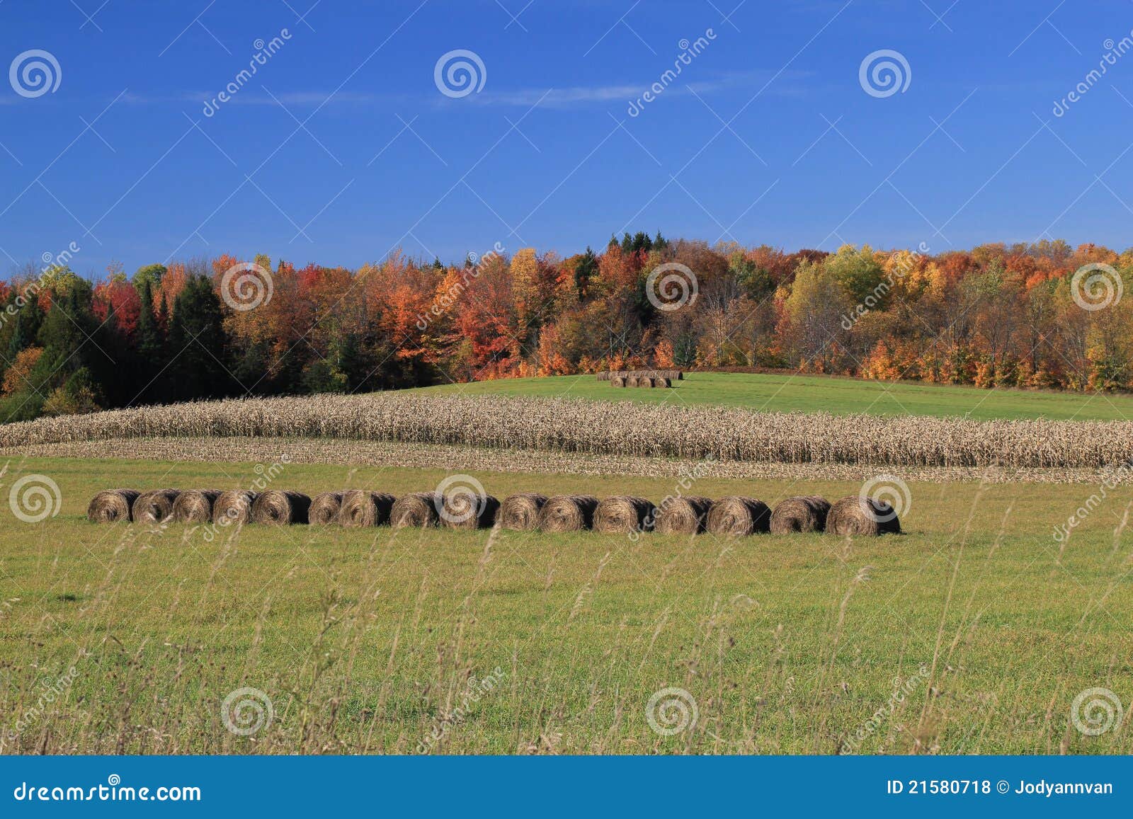 Autumn on the Farm stock photo. Image of aspen, harvest - 21580718
