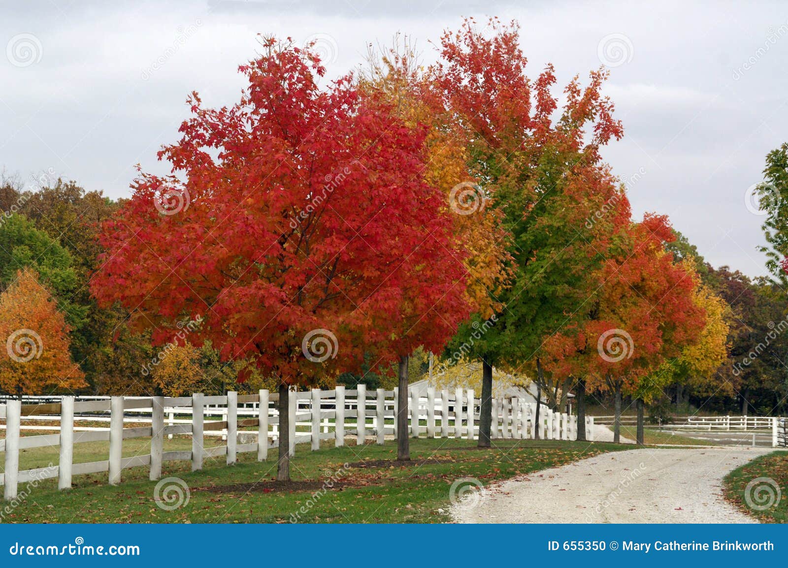 Autumn on the farm stock photo. Image of fence, midwest - 655350
