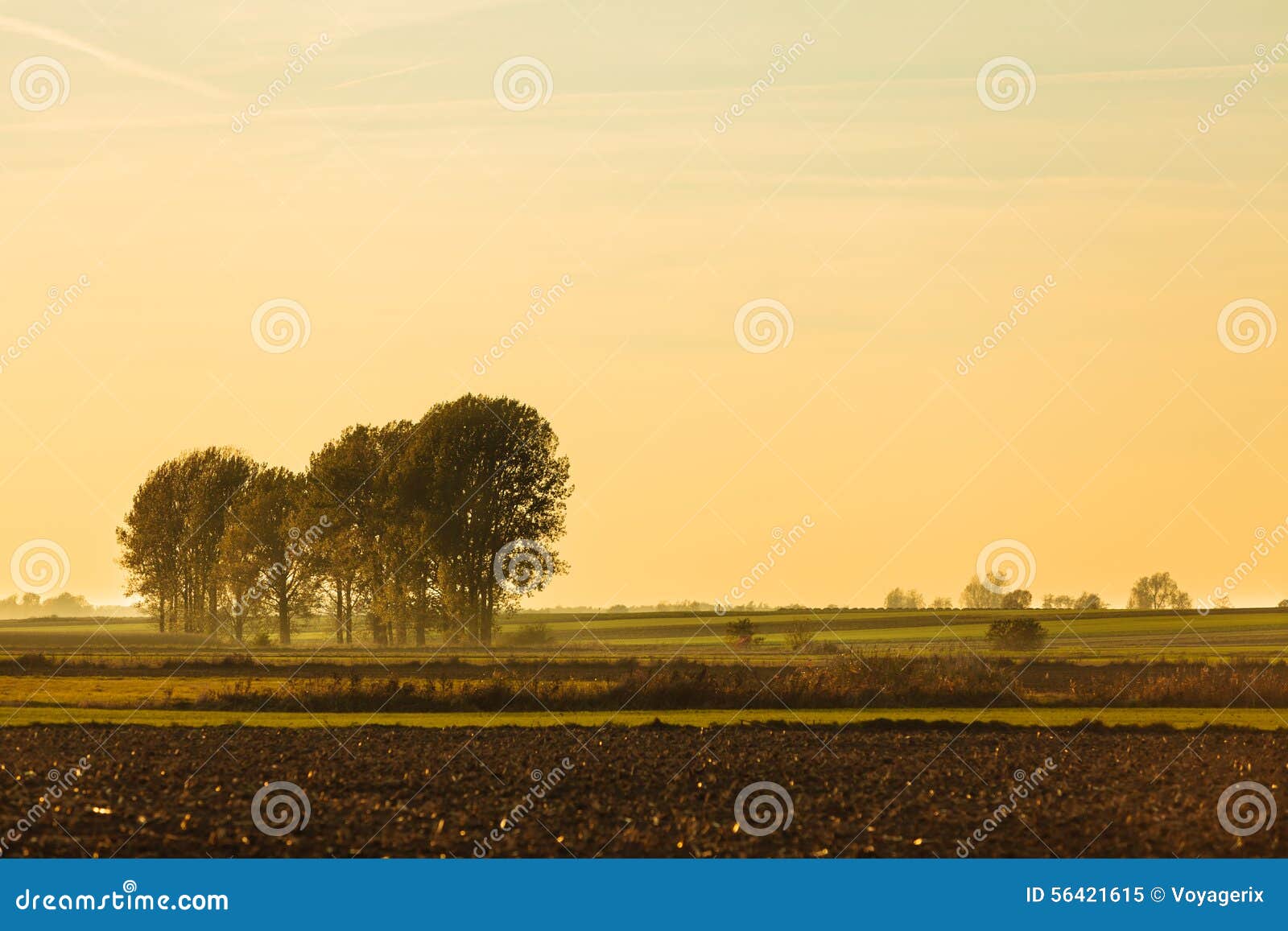 Autumn farm field stock image. Image of land, nature - 56421615