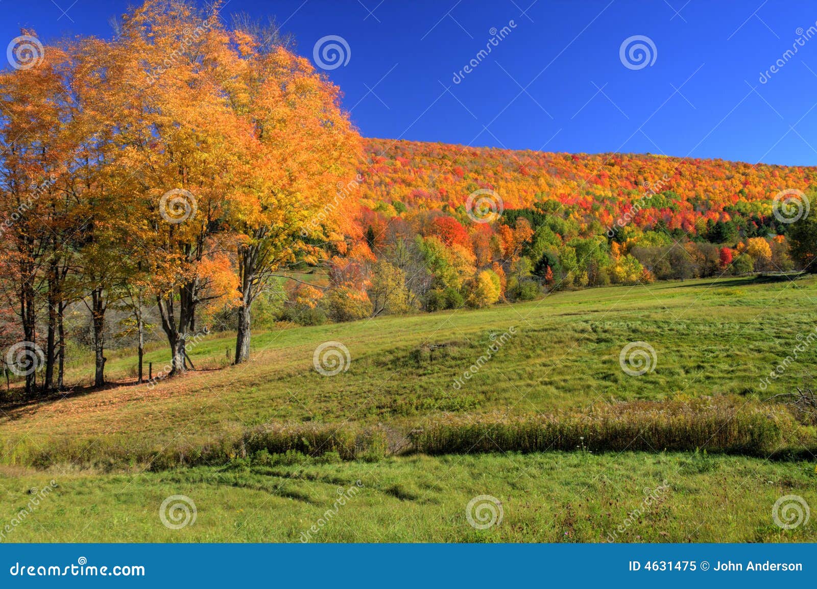 Autumn farm scene stock image. Image of folage, forest - 4631475
