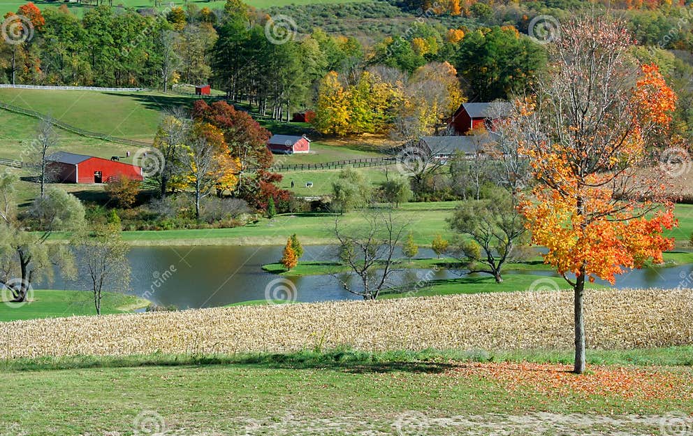 Autumn Farm Scene stock photo. Image of stream, trees - 6878252