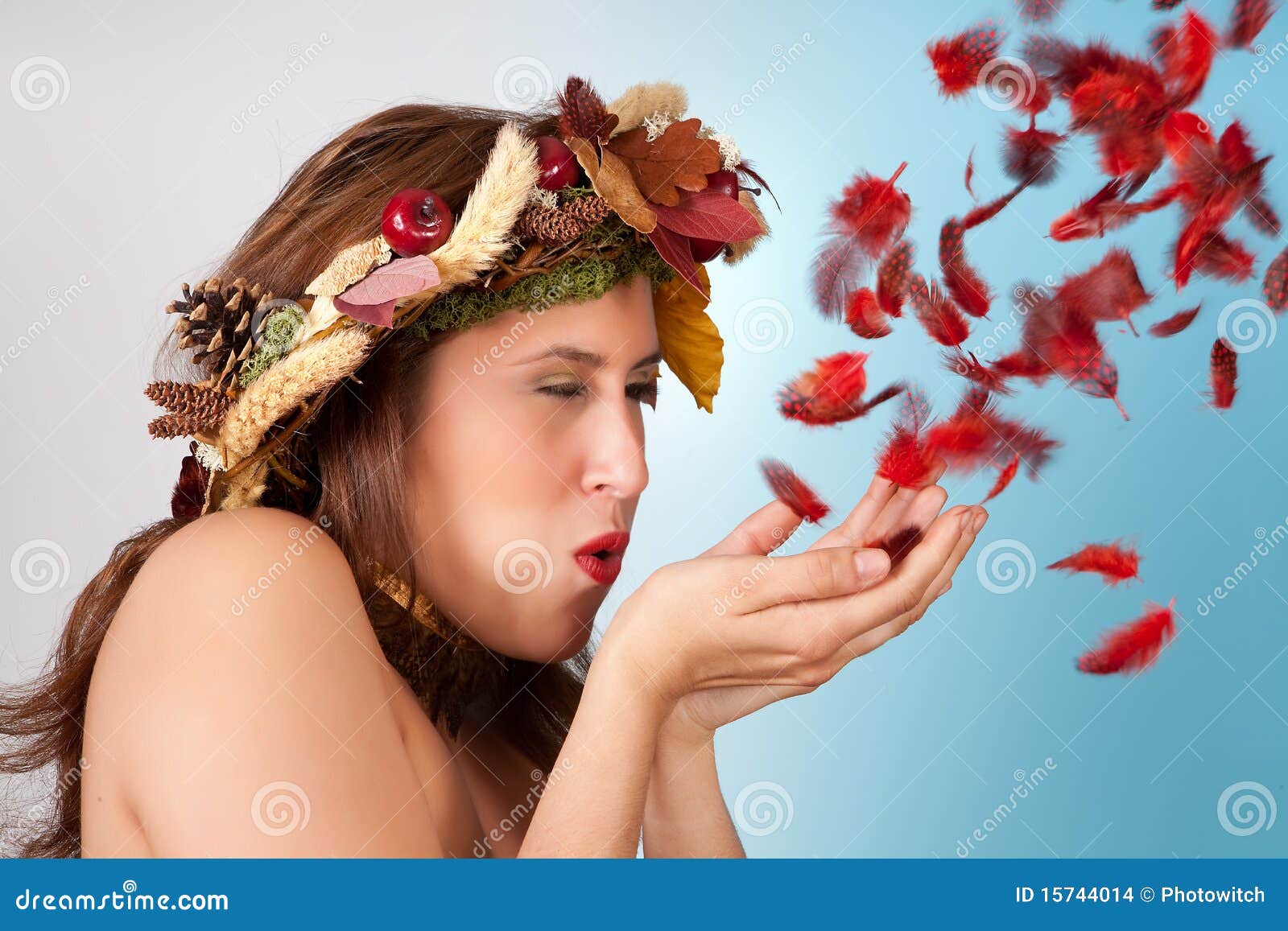 Autumn feathers stock photo. Image of blowing, flower - 15744014