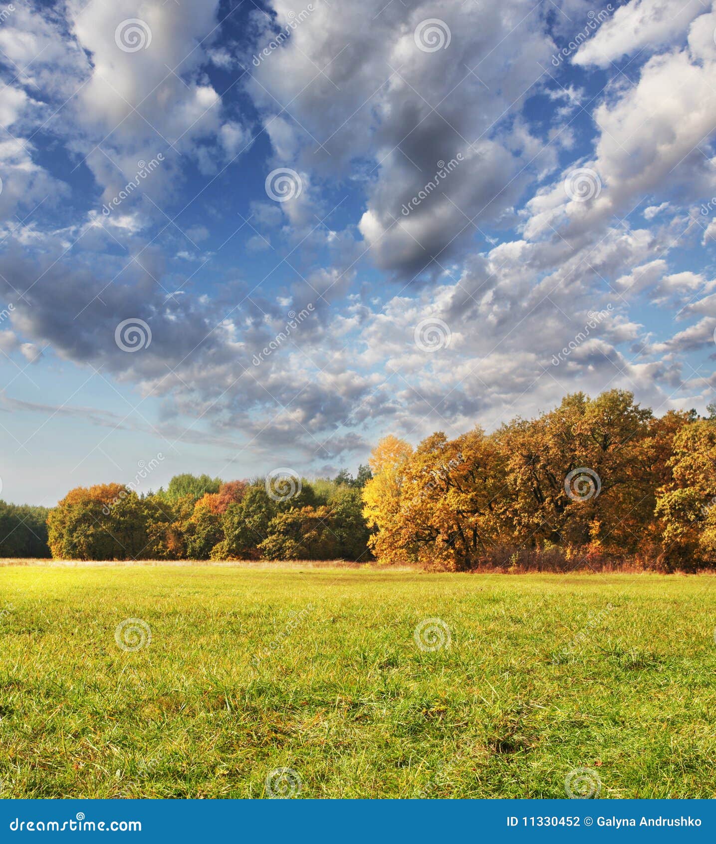 Autumn field stock photo. Image of agriculture, storm - 11330452