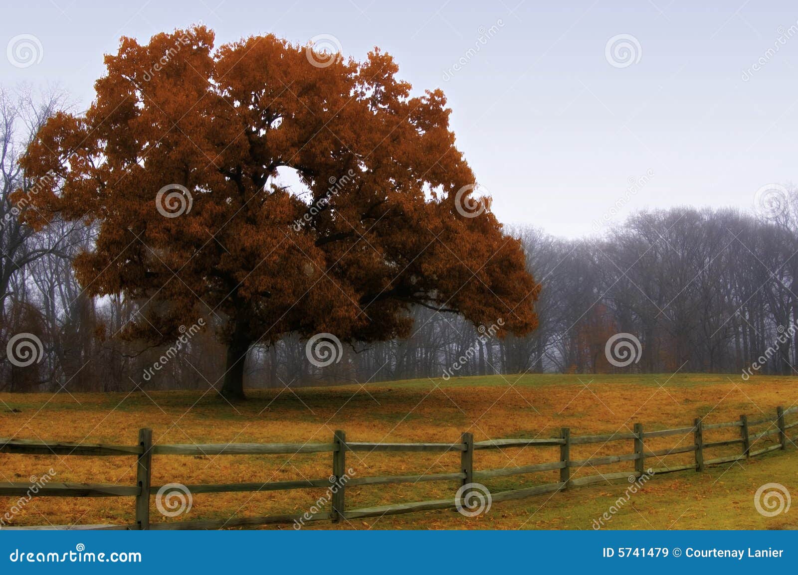 Autumn Field stock image. Image of field, rural, change - 5741479
