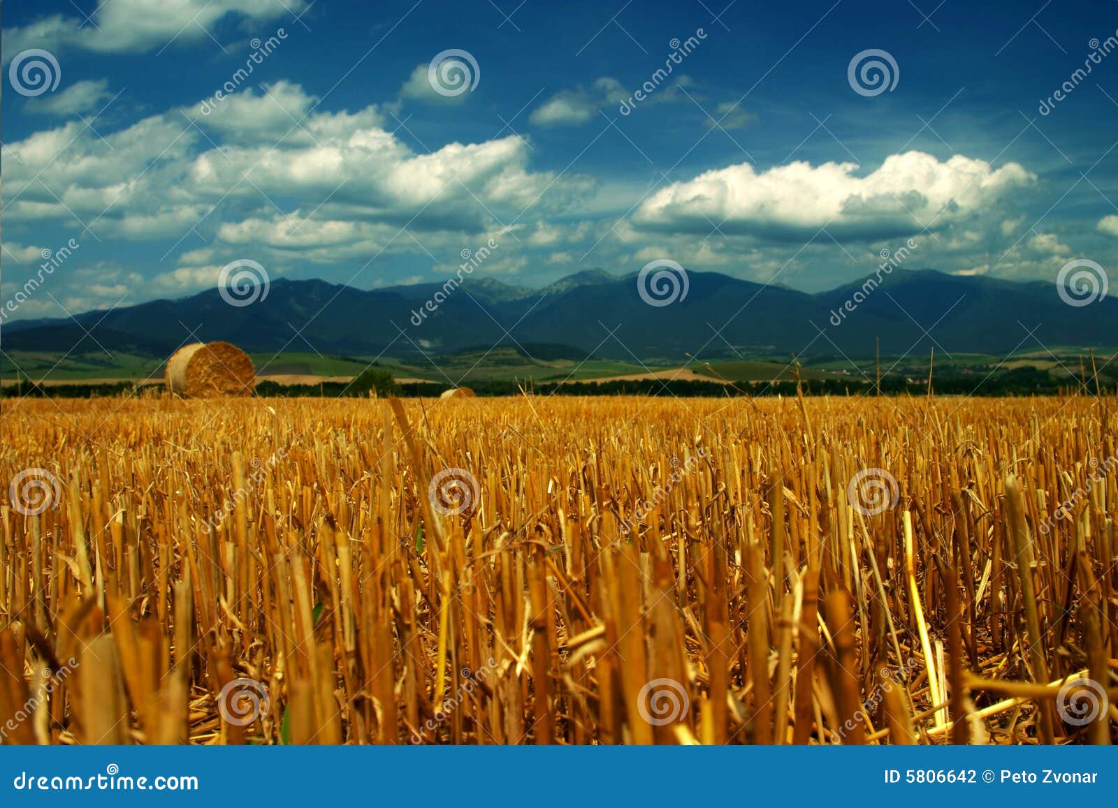 Autumn field stock photo. Image of horizon, harvesting - 5806642