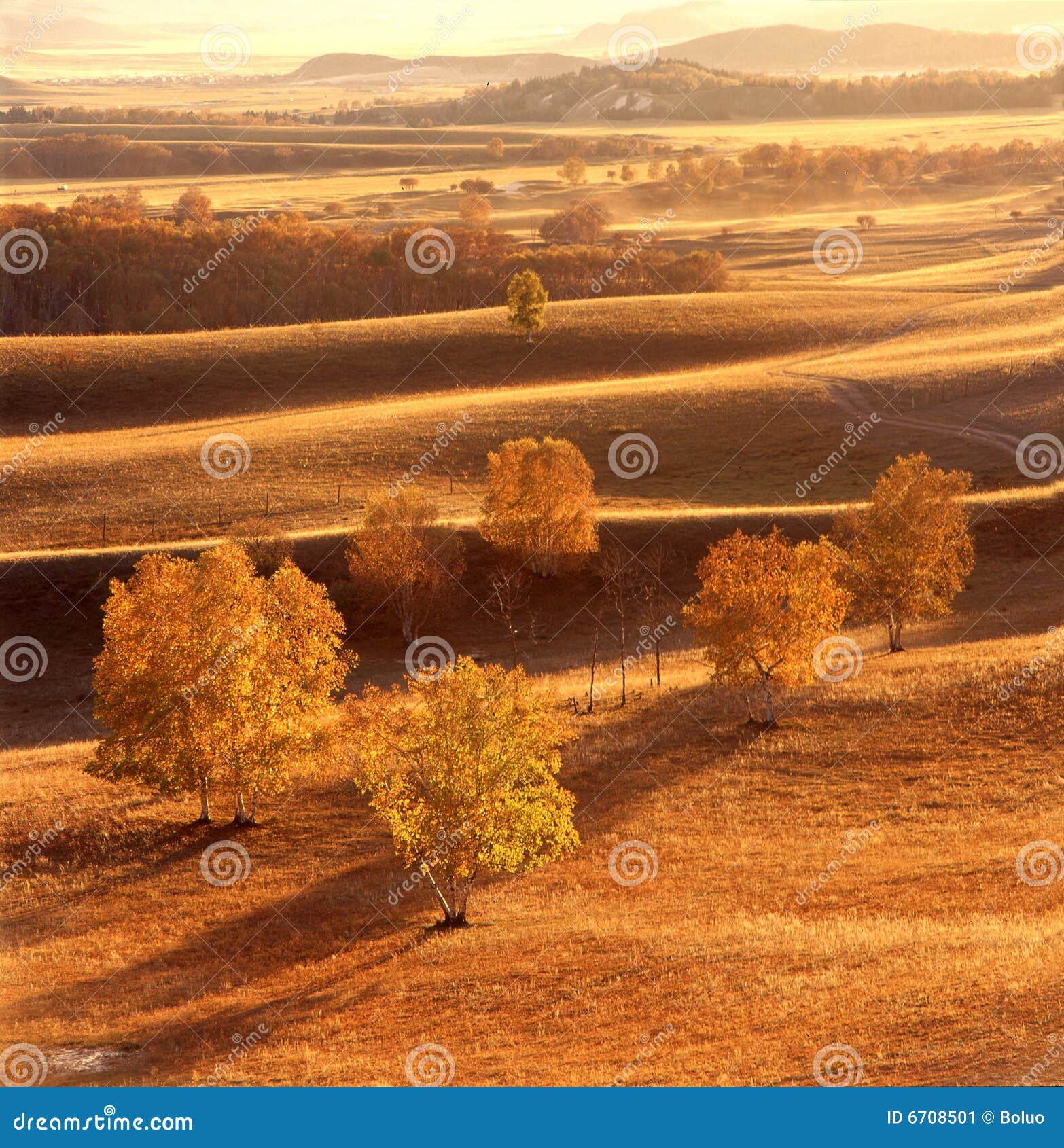 Autumn field stock image. Image of wind, field, landscape - 6708501