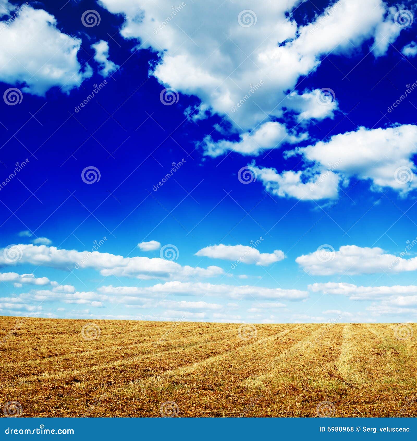 Autumn field stock photo. Image of clear, autumn, cloud - 6980968